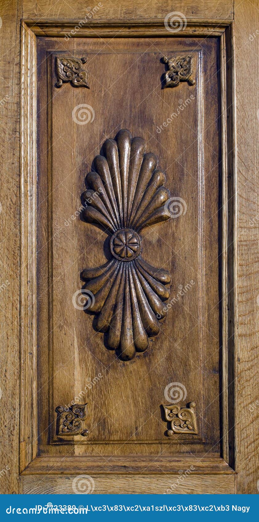 Ornate wood panel stock image. Image of door, carving - 7723389