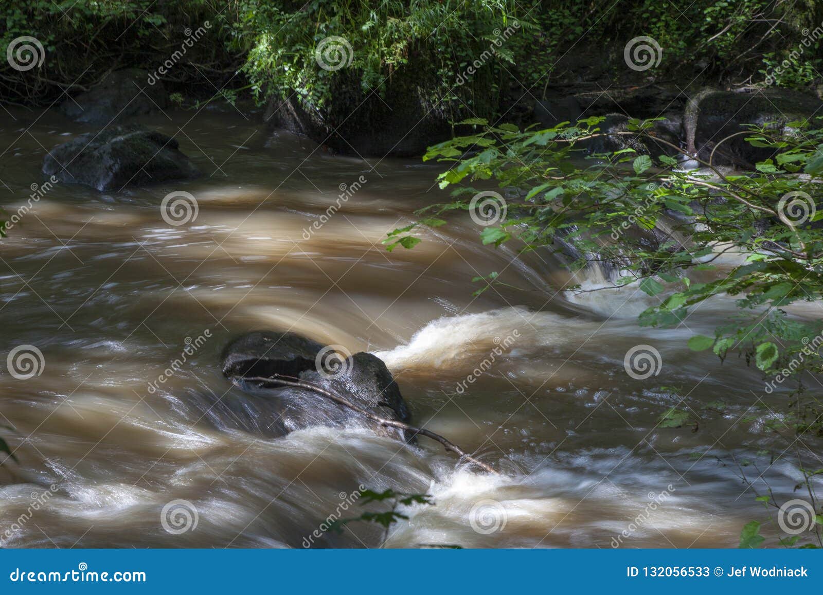 Orne River Gorge, River in the Forest Stock Image - Image of europe ...