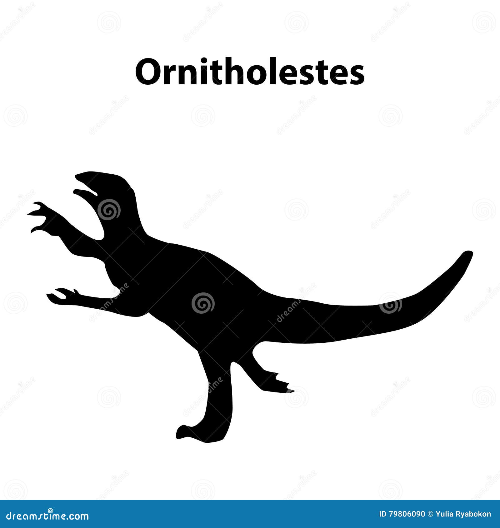 Ornitholestes Dinosaur Silhouette Stock Vector - Illustration of ...