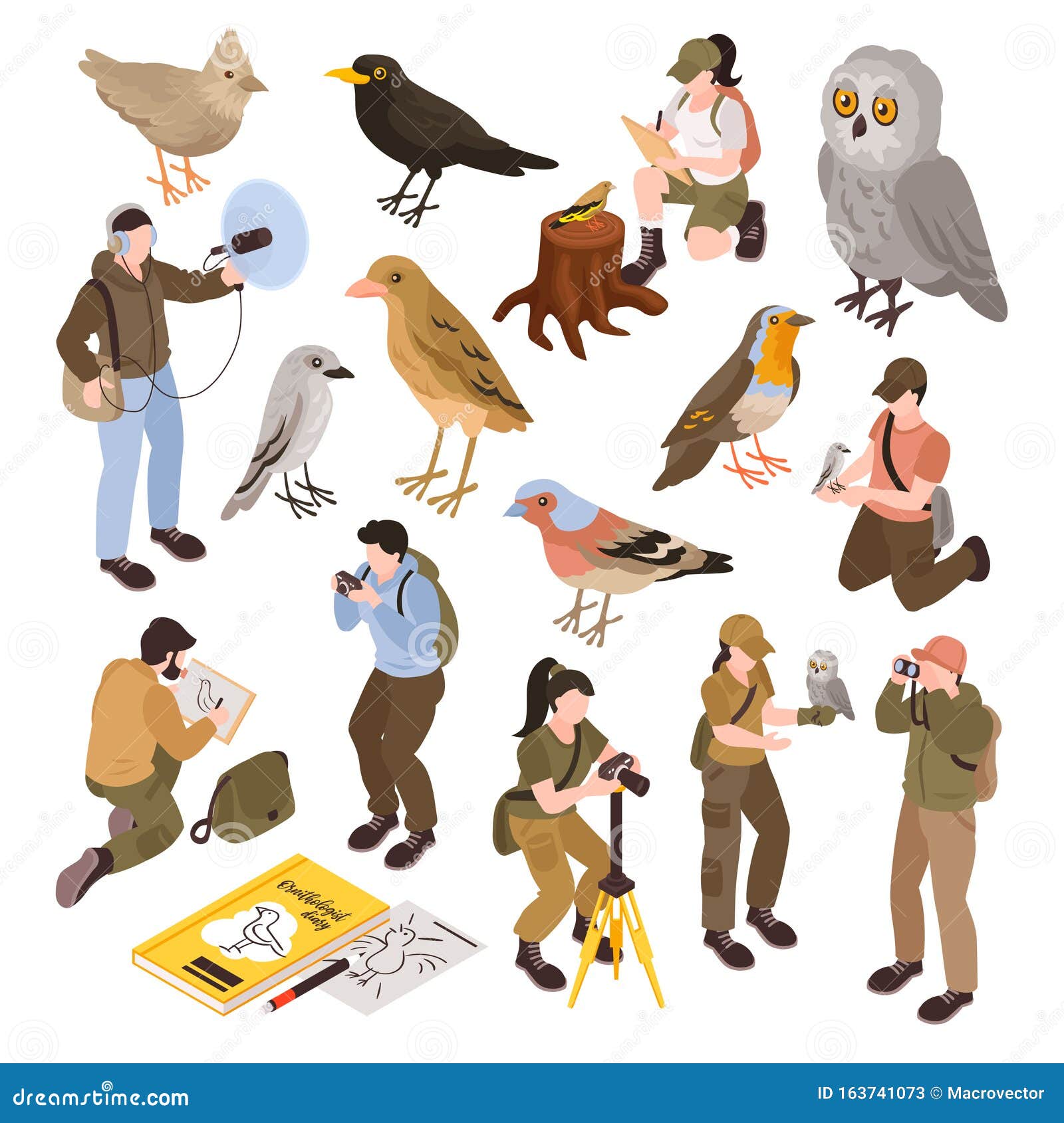 Ornithologist With Different Types Of Birds Concept. Vector ...