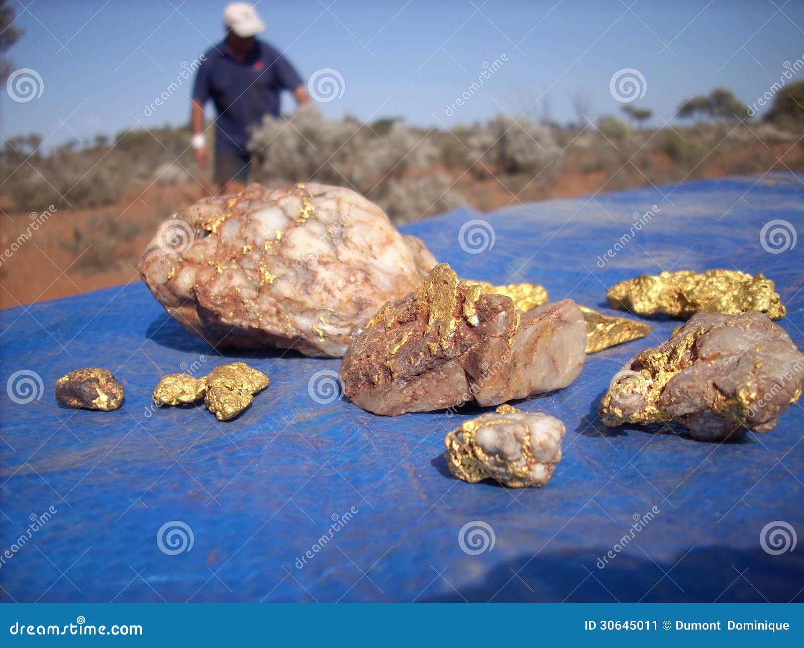 Oro natural imagen de archivo. Imagen de goldfields, raro - 30645011