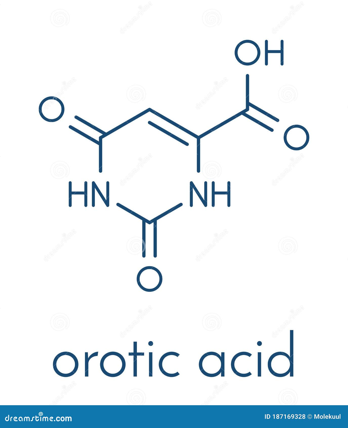 Vitamin B13 Orotic Acid. Natural Organic Foods With High Vitamin ...