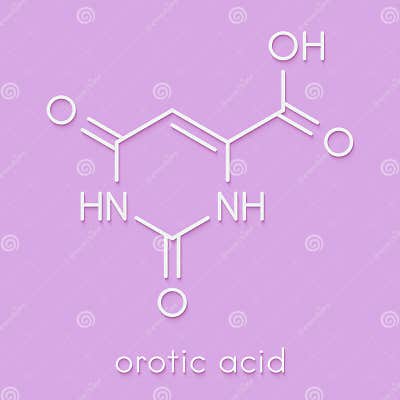 Orotic Acid Molecule. Skeletal Formula. Stock Illustration ...