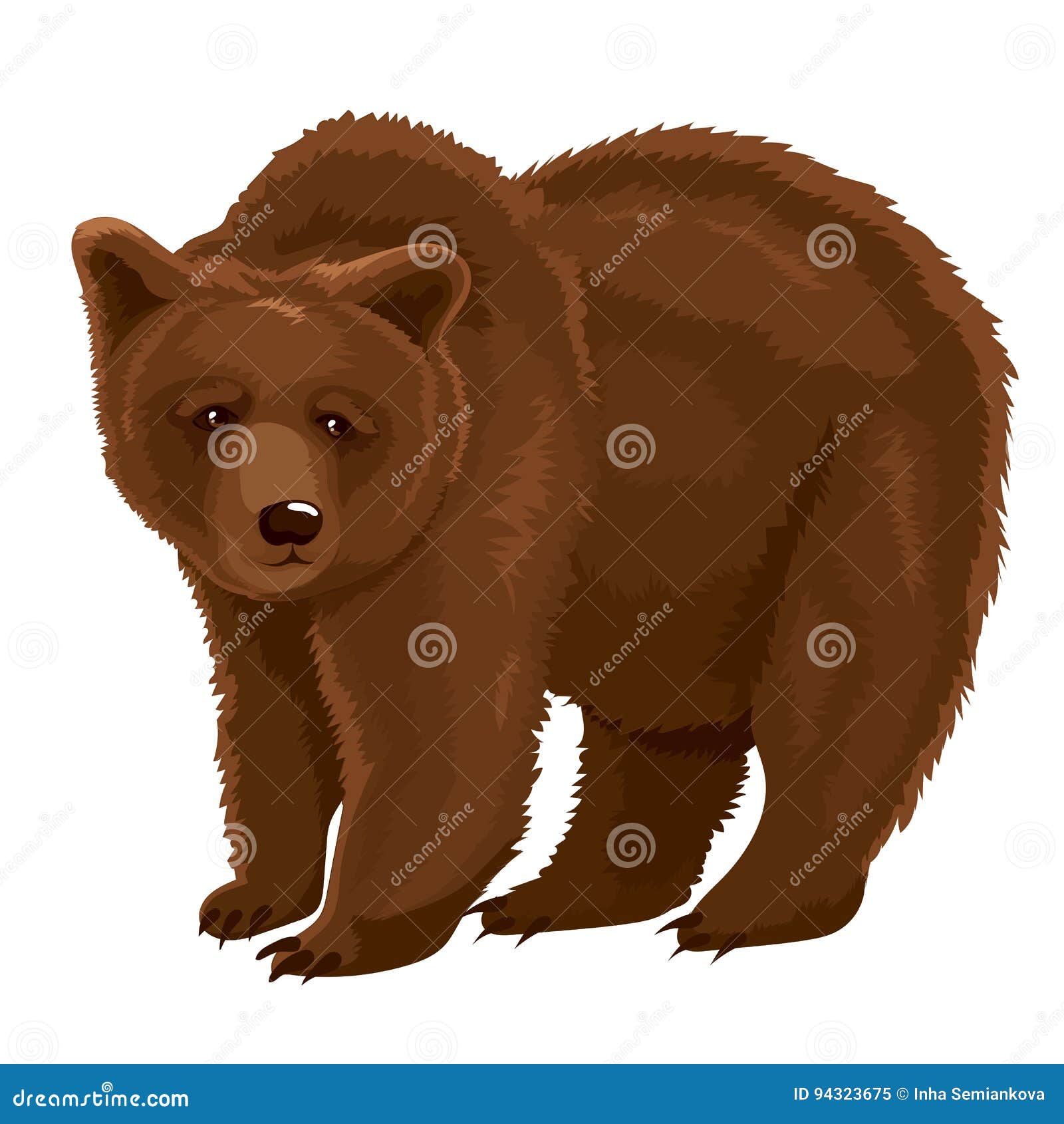 Orso Bruno Dell'illustrazione Di Vettore Illustrazione Vettoriale ... Orso Bruno Dell'illustrazione Di Vettore Illustrazione Vettoriale ...