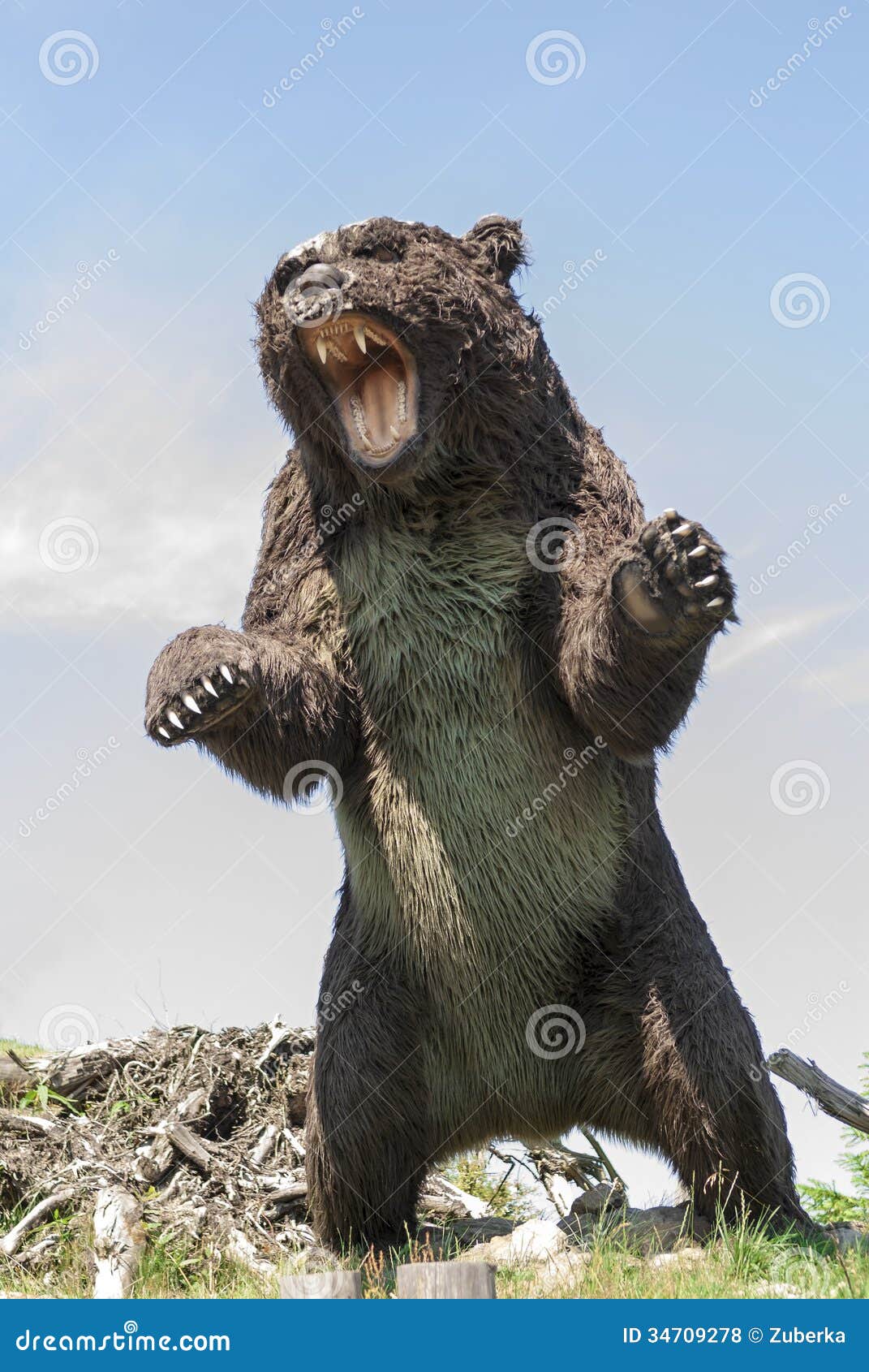 Orso preistorico fotografia stock. Immagine di gigante - 34709278