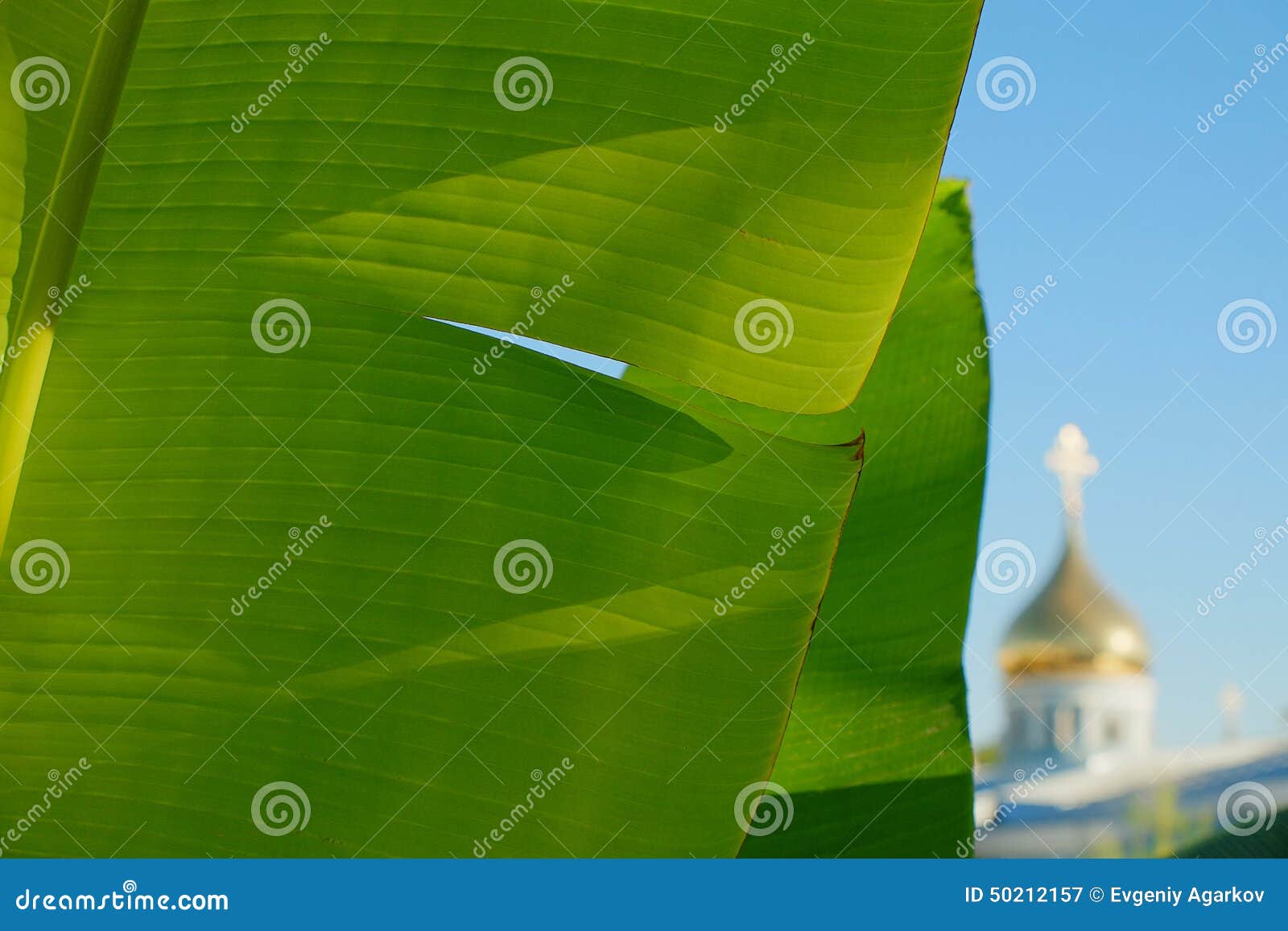 Orthodox Church and Banana Leaf Stock Image - Image of background ...