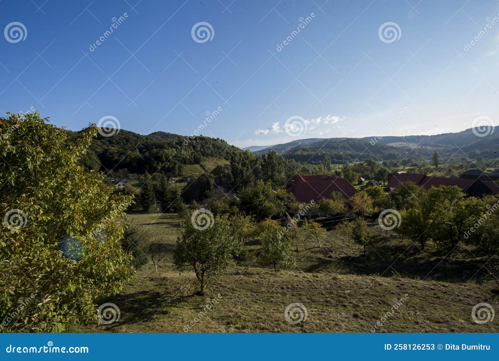 The Orthodox Monastery from Brsana 37 Stock Image - Image of flowers ...