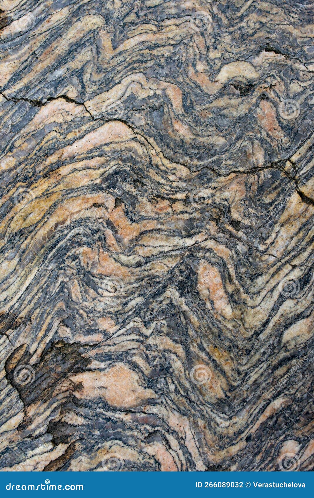 The Orthogneiss, Granite Stone with Visible Details Stock Photo - Image ...