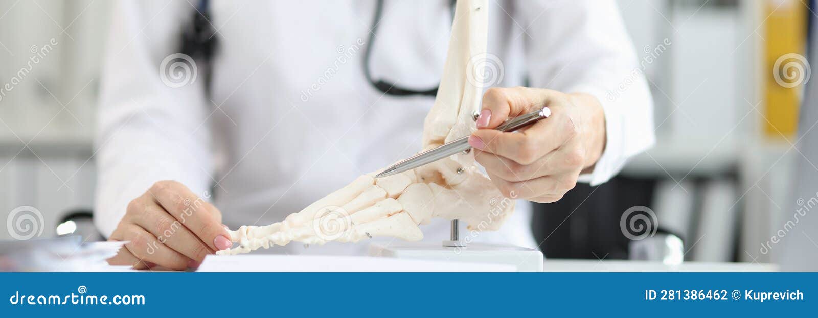 Orthopedic Doctor Explains Physiology of Bone Model by Pointing To ...