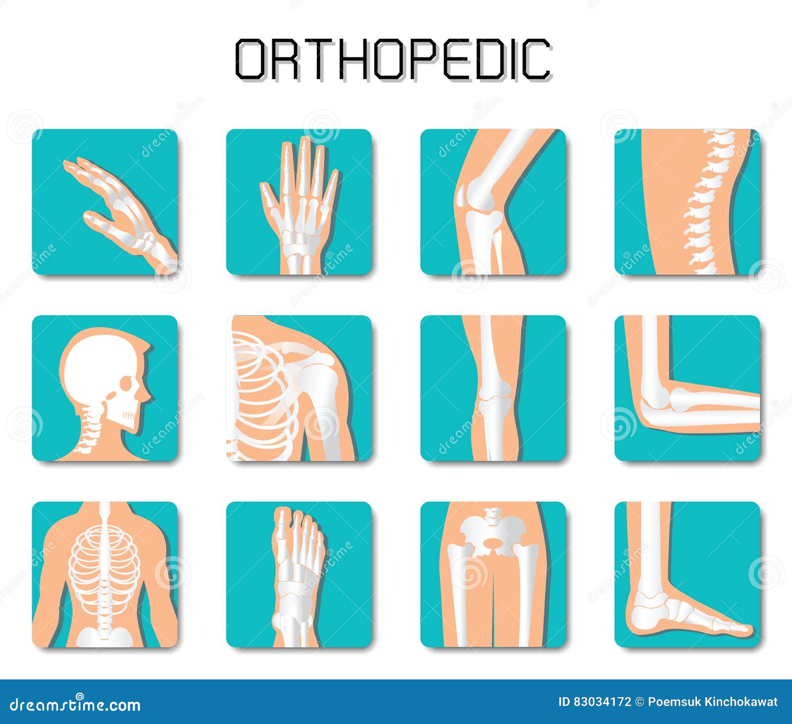 Orthopedic And Spine Icon Set On White Background. Stock Vector ...