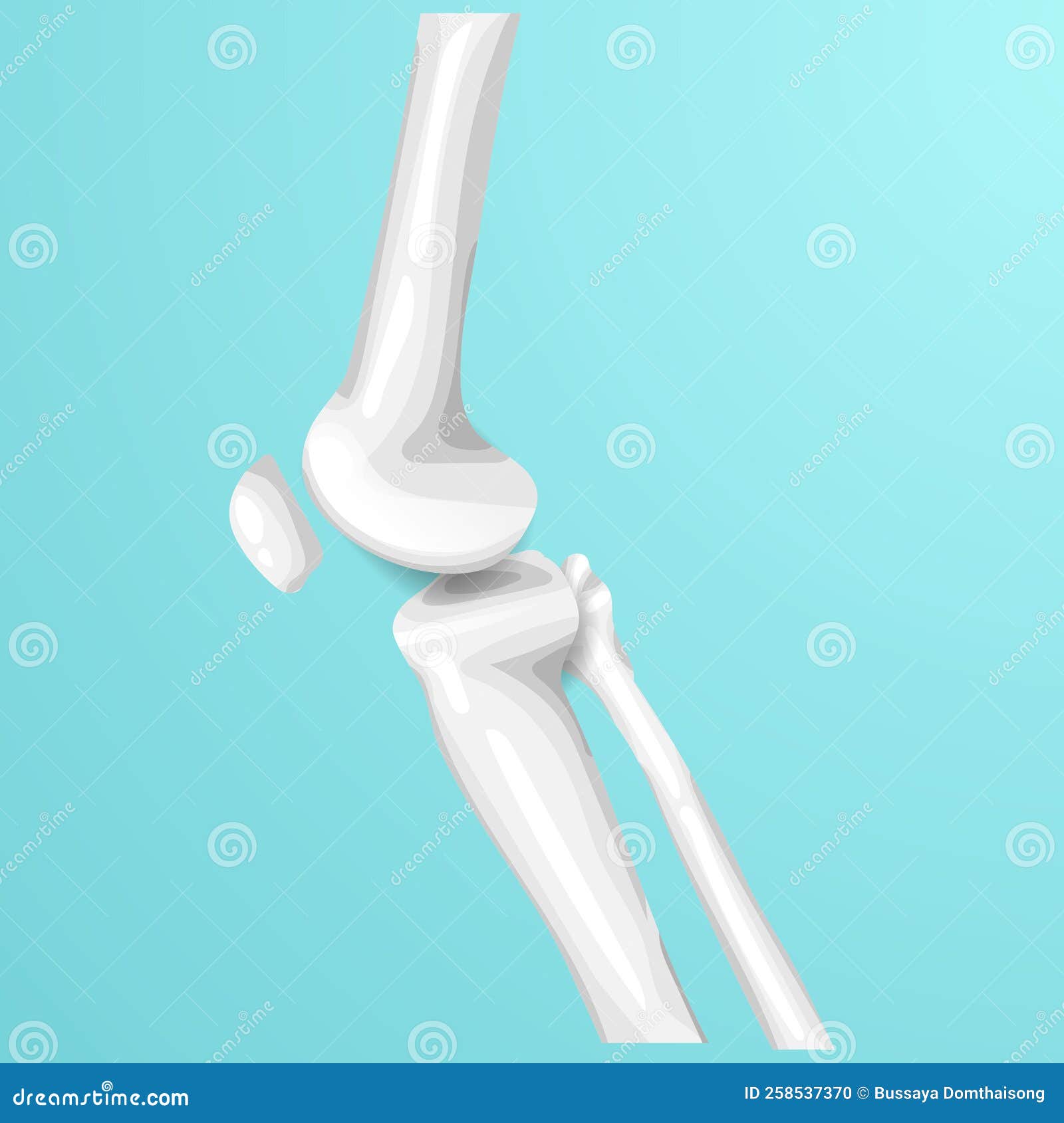 Knee Icon, Cartoon Style | CartoonDealer.com #80092025