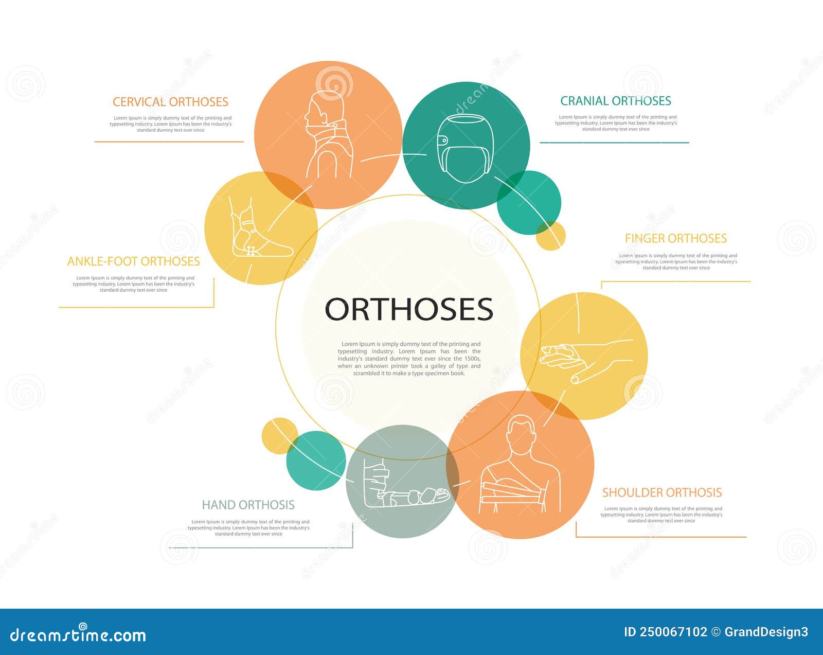 Orthoses Infographic, Vector Icon Line Illustration Stock Vector ...