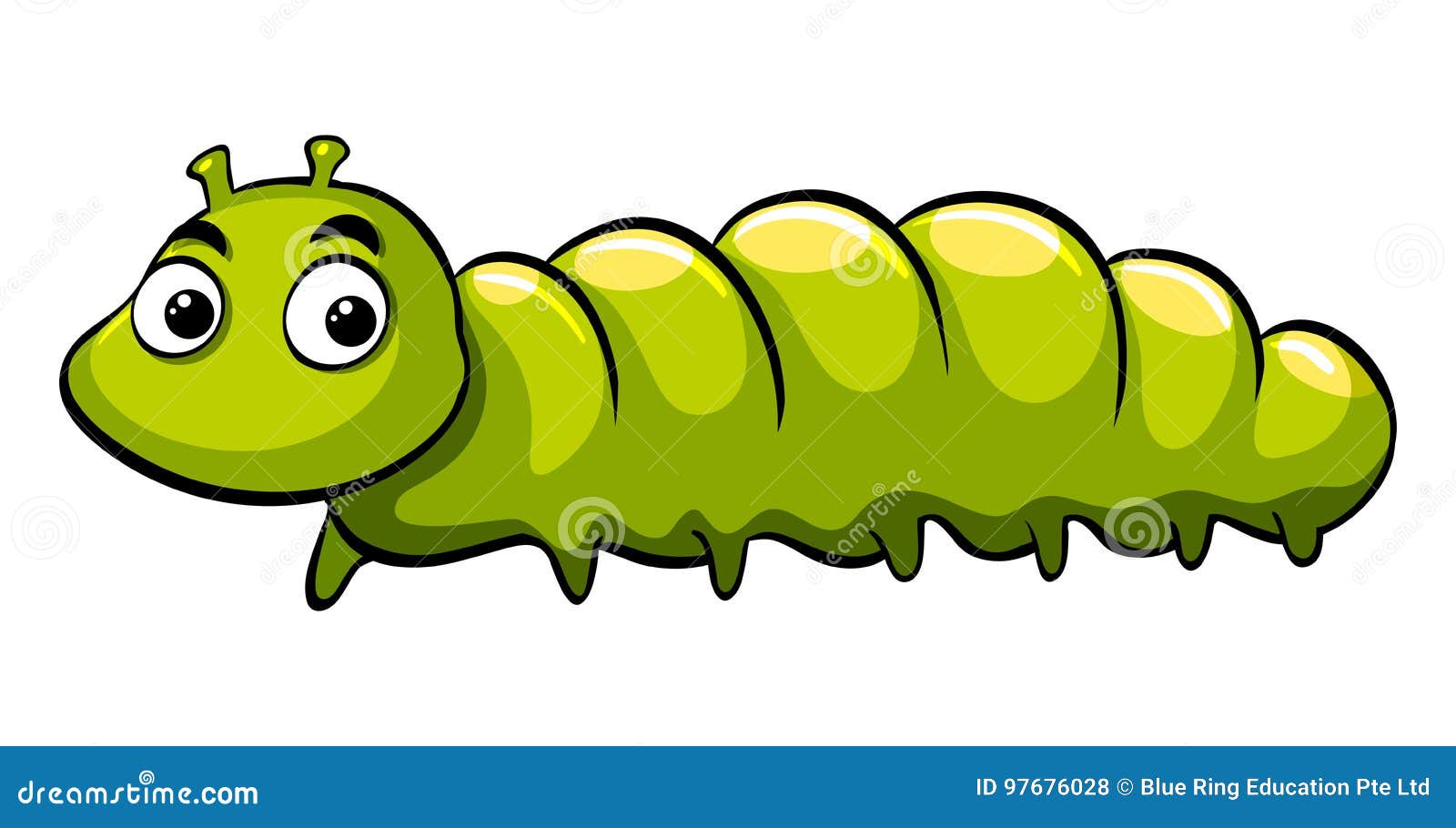 Oruga Verde En El Fondo Blanco Ilustración del Vector - Ilustración de ...