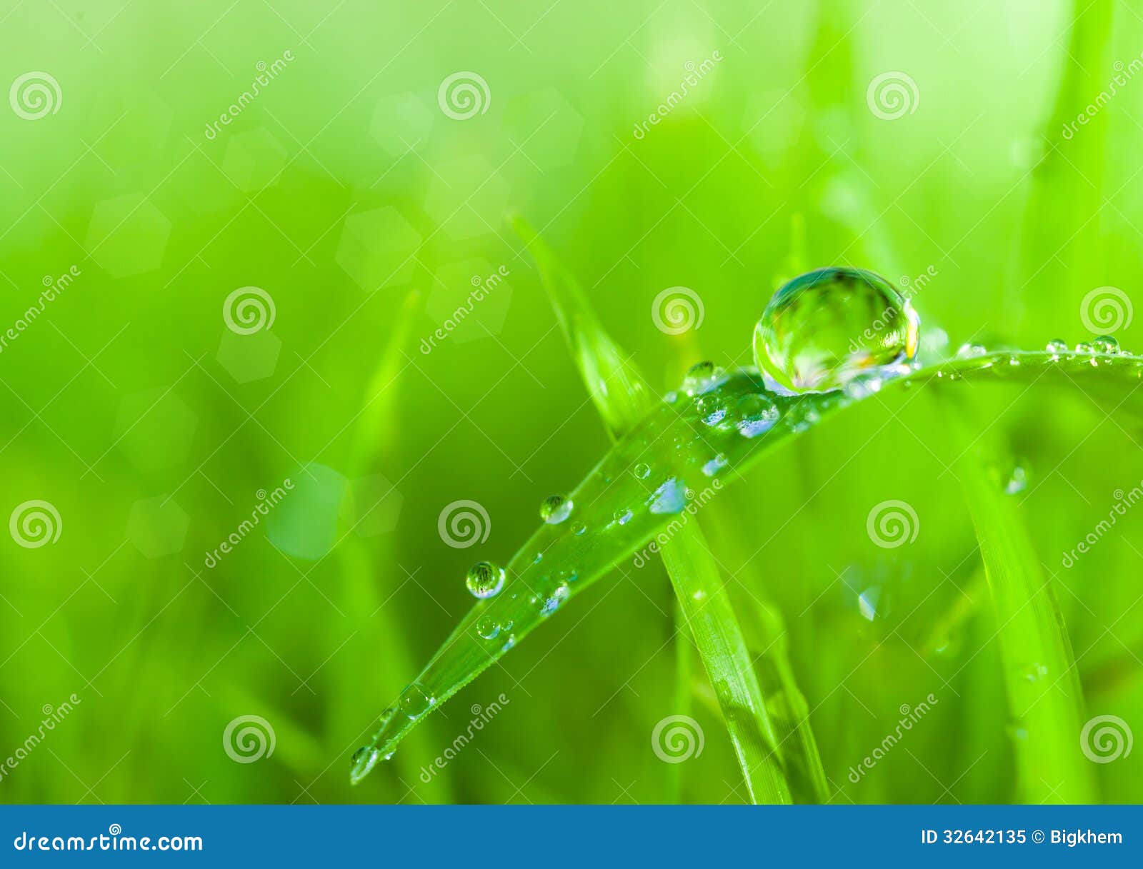 Orvalha imagem de stock. Imagem de ambiental, textura - 32642135