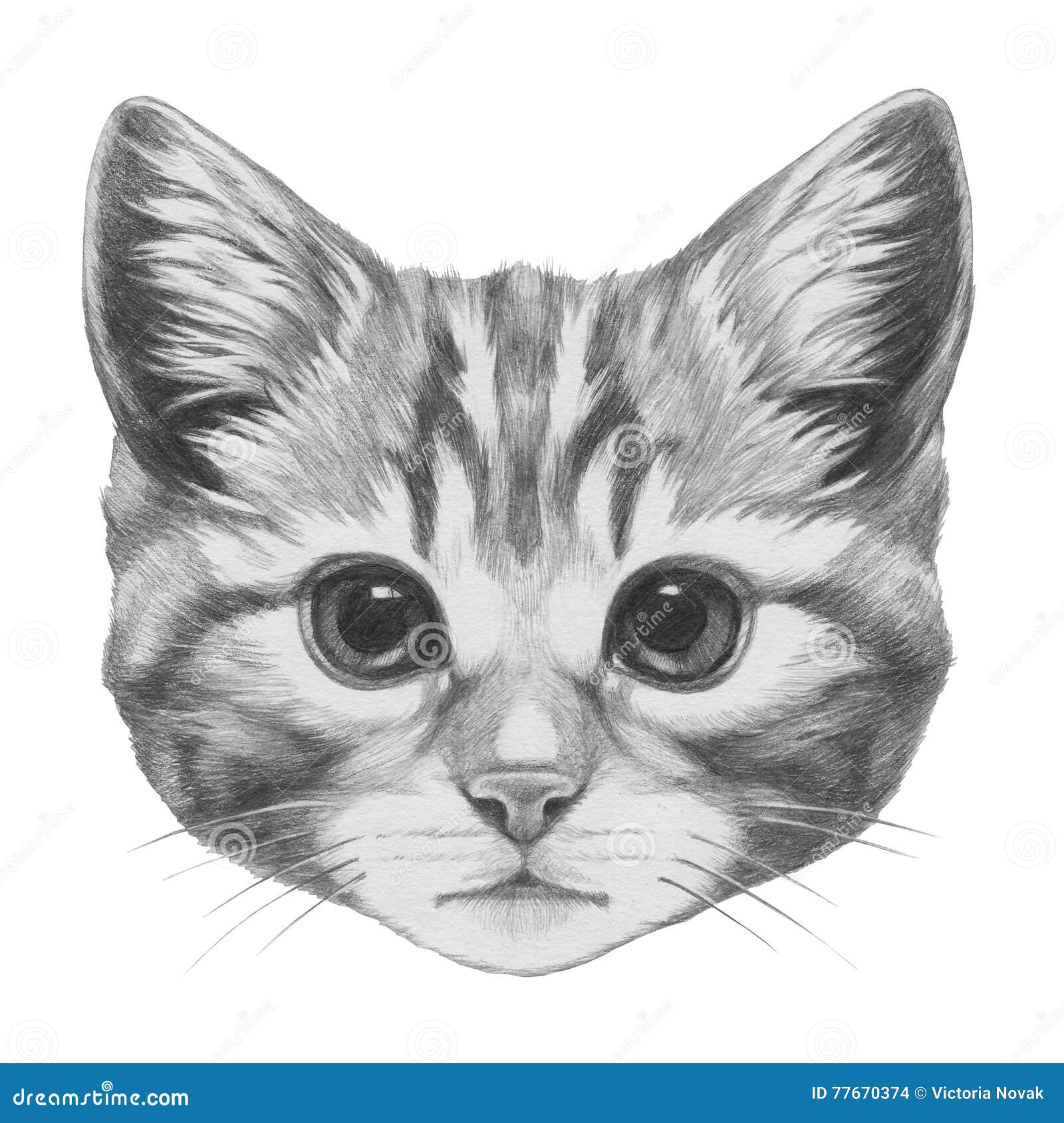 Oryginalny rysunek kot ilustracji. Ilustracja złożonej z rysunek - 77670374