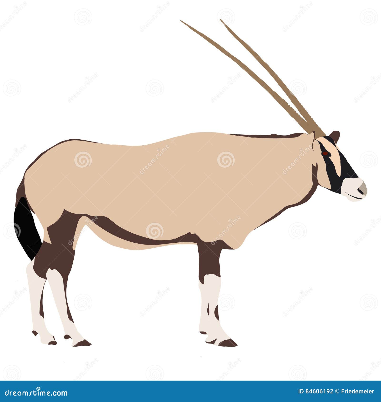 Oryx Illustration, Drawing, Engraving, Ink, Line Art, Vector ...