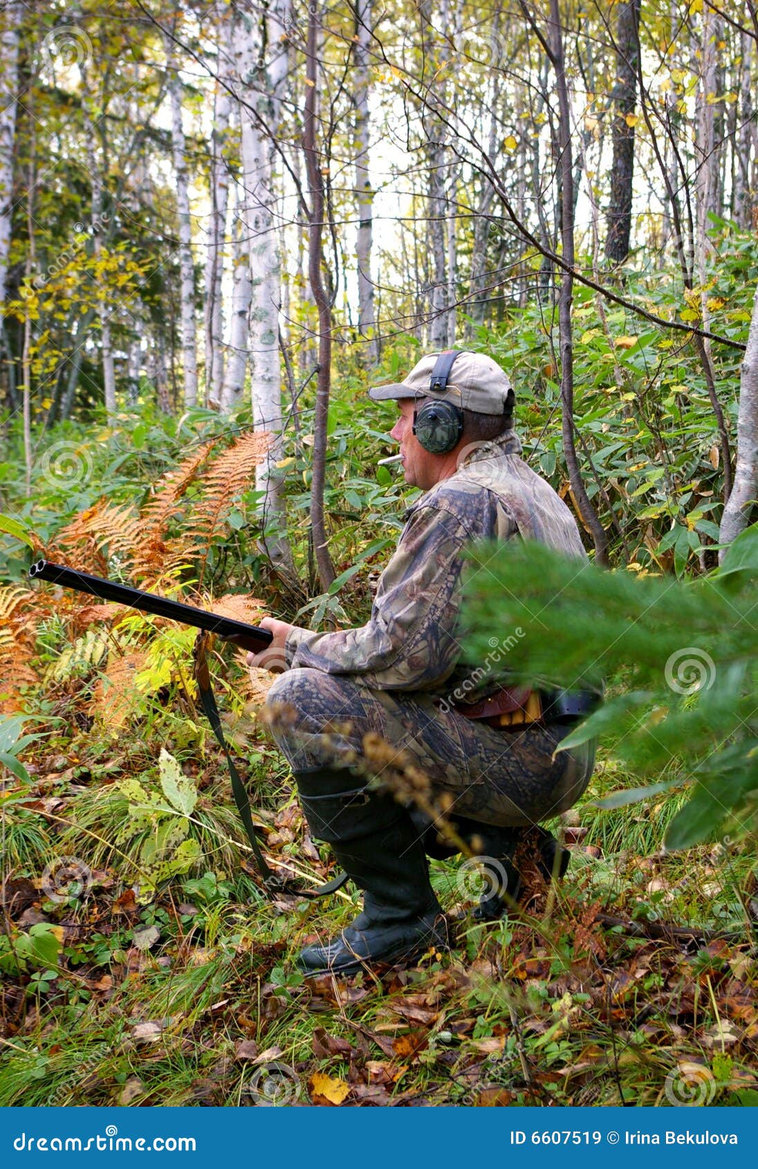 Orzechowy kurny polowanie obraz stock. Obraz złożonej z polowanie - 6607519