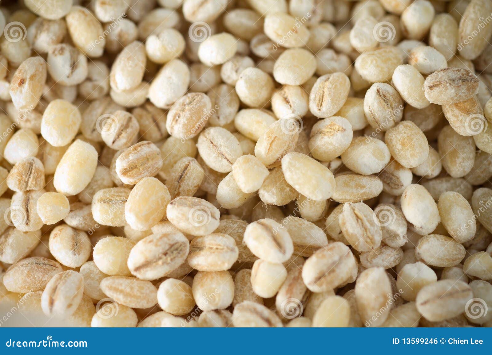 Orzo fotografia stock. Immagine di cereale, seme, perla - 13599246