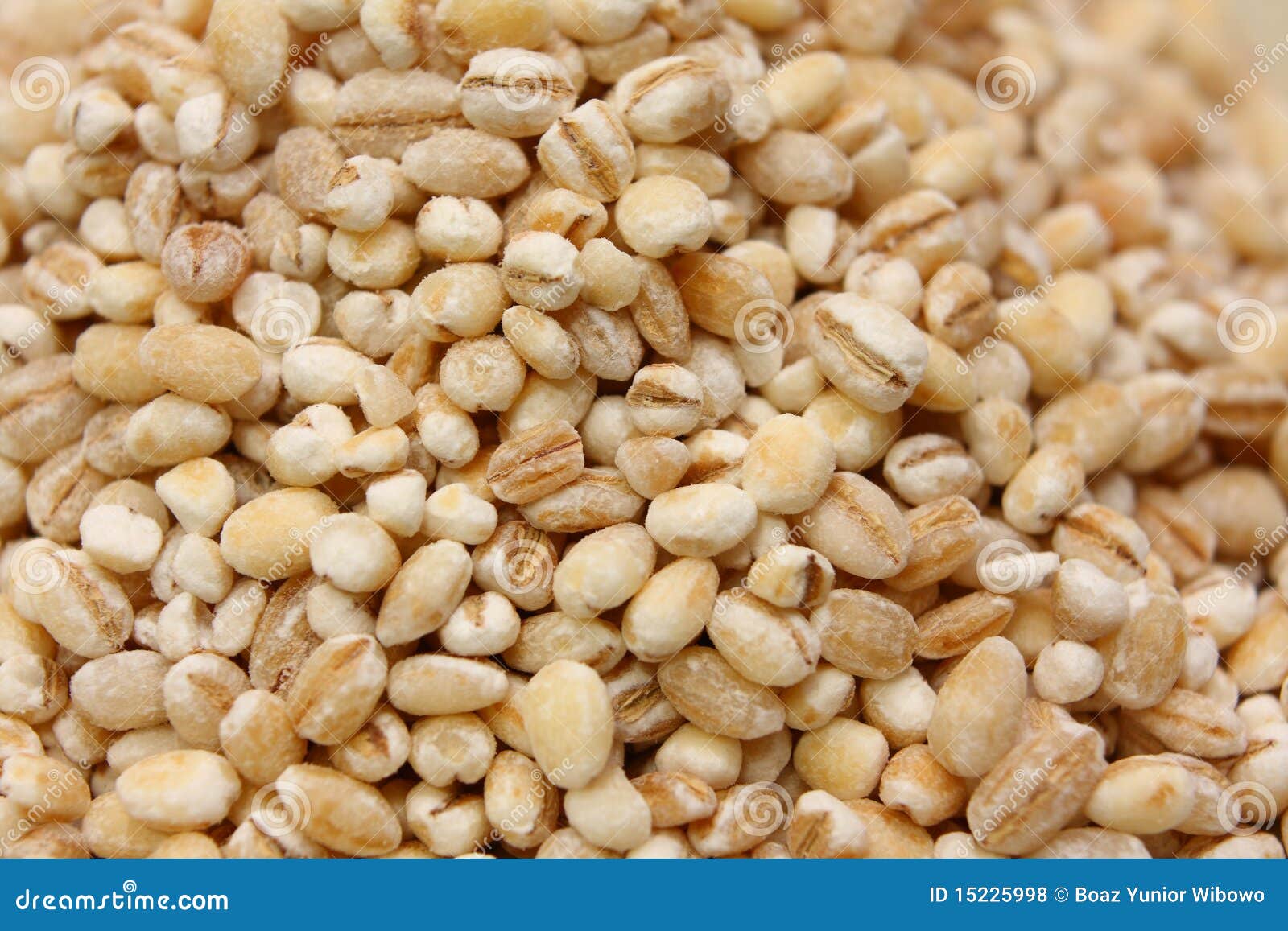 Orzo fotografia stock. Immagine di consumo, orzo, seme - 15225998