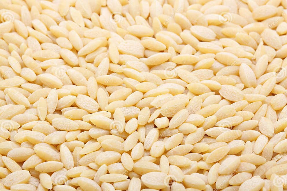 Orzo stock photo. Image of vegetarian, culture, italian - 9563408