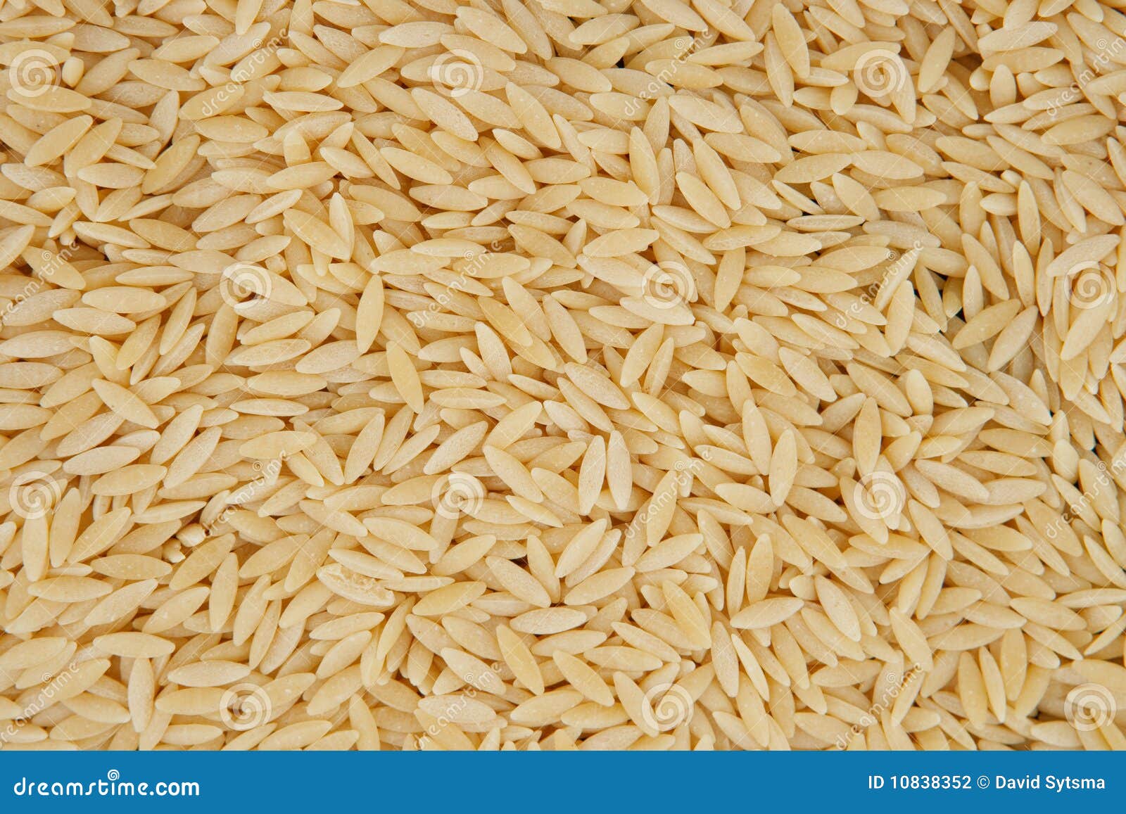 Orzo background stock photo. Image of black, uncooked - 10838352