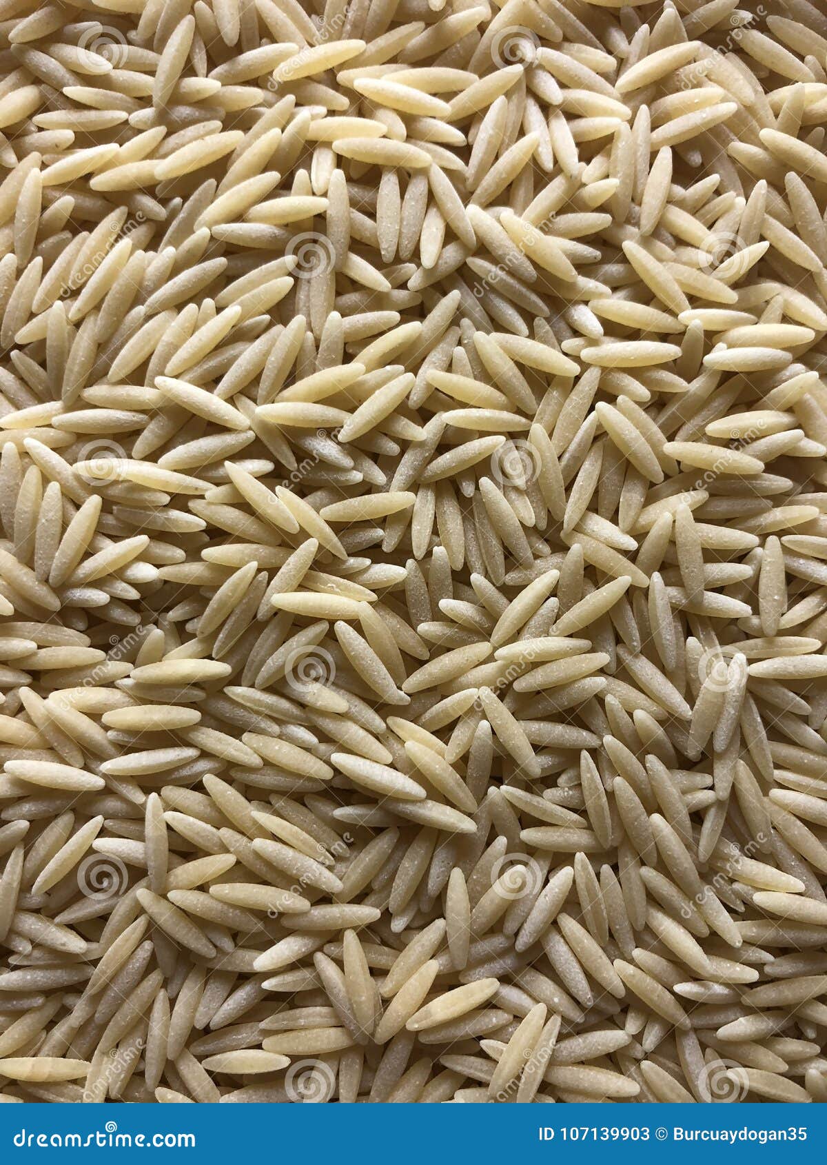 Orzo a Granel, Macarrones Grano-formados Imagen de archivo - Imagen de ...