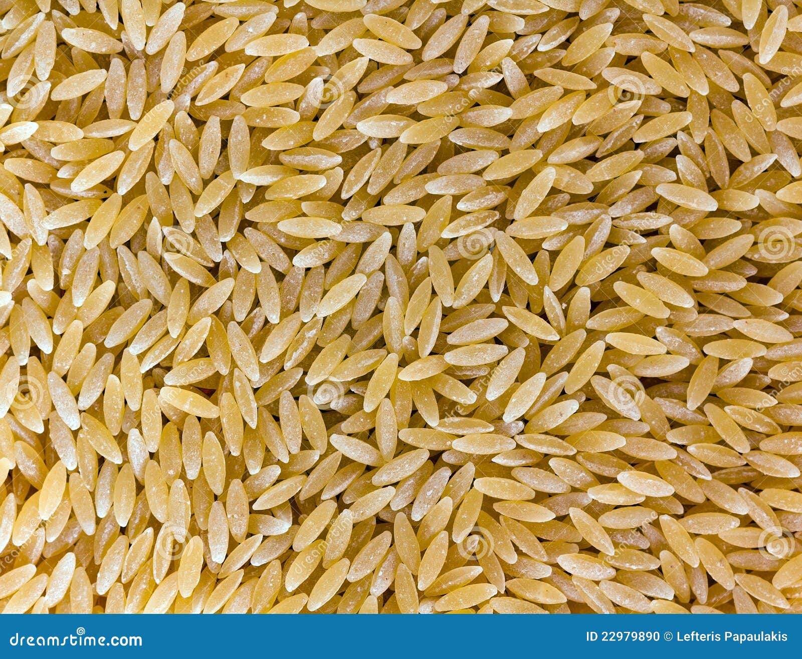 Orzo (risoni) pasta stock photo. Image of manestra, cook - 22979890