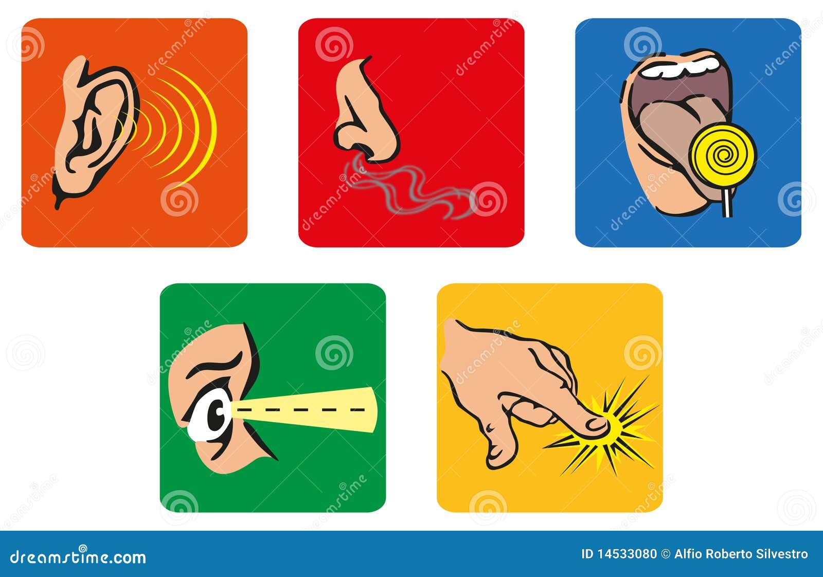 Os 5 sentidos ilustração do vetor. Ilustração de pessoa - 14533080