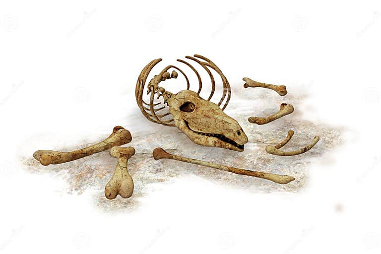 Os animaux illustration stock. Illustration du danger - 42088443