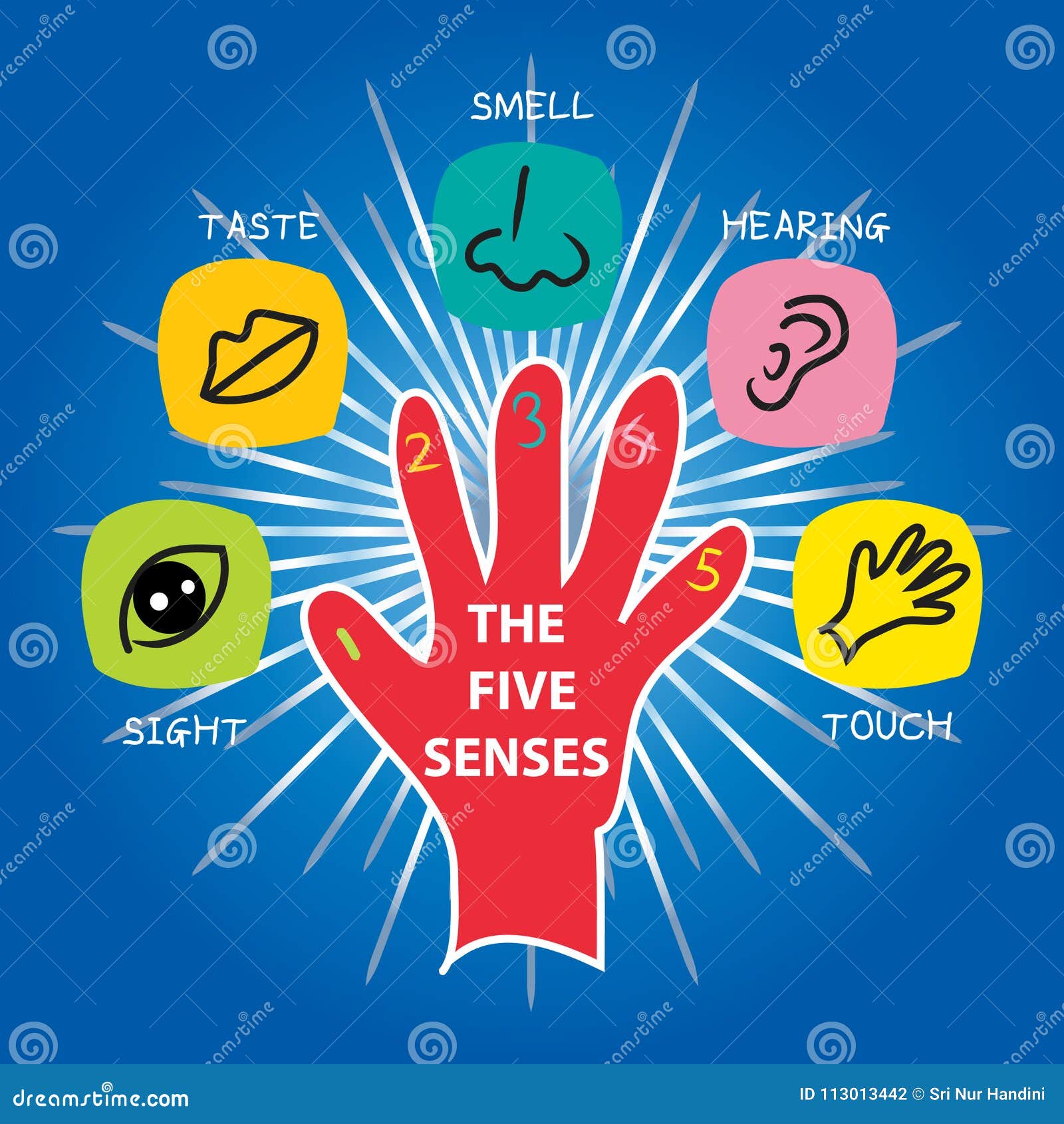 Os cinco sentidos ilustração stock. Ilustração de conceito - 113013442