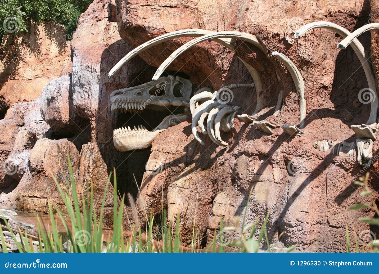 Os de dinosaur photo stock. Image du tyrannosaure, normal - 1296330