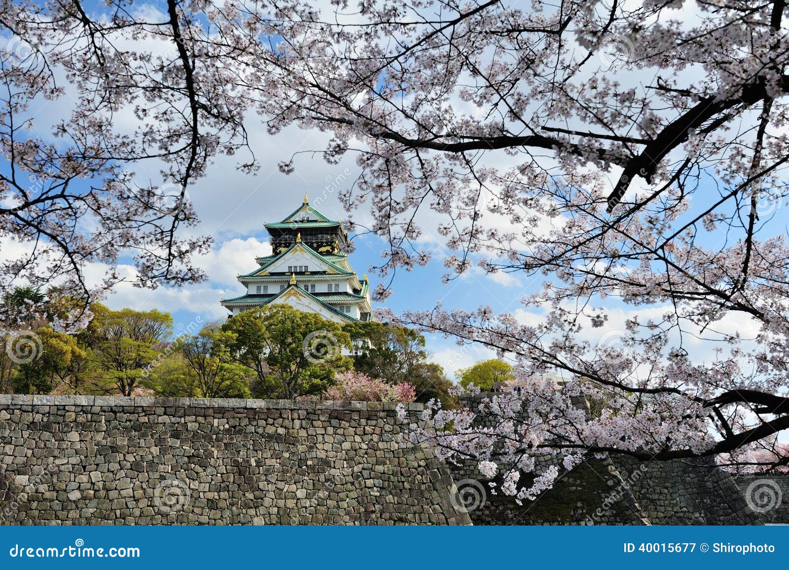 Osaka Castle with the Cherry Blossoms Stock Image - Image of ...