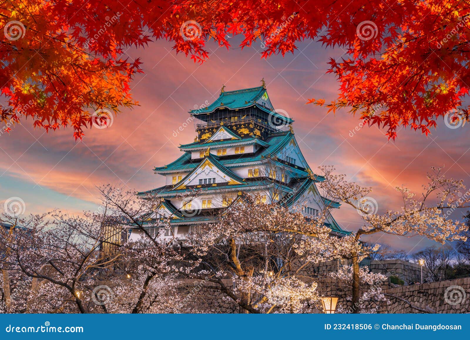 Osaka Castle and Full Cherry Blossom at Night Stock Photo - Image of ...