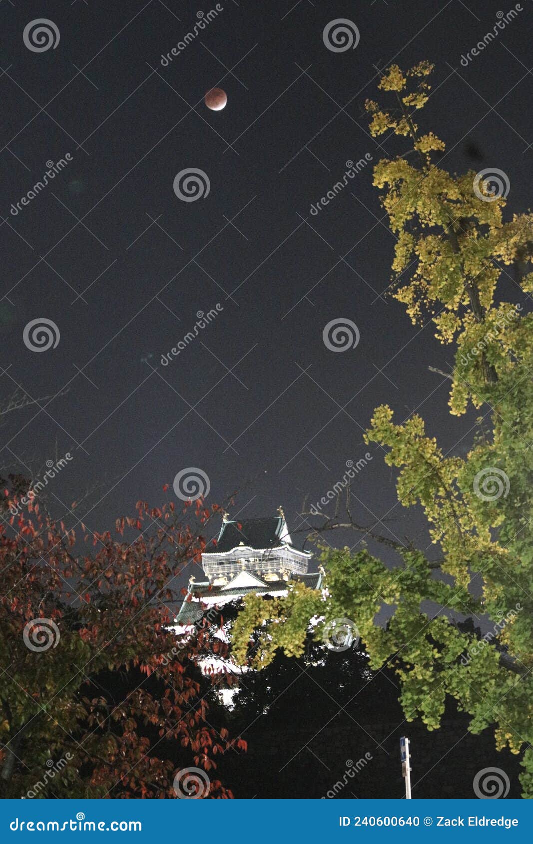 Osaka Castle stock photo. Image of japan, osaka, castle - 240600640