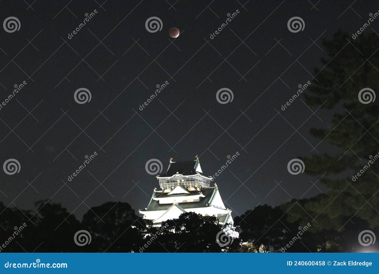 Osaka Castle stock photo. Image of moon, castle, night - 240600458