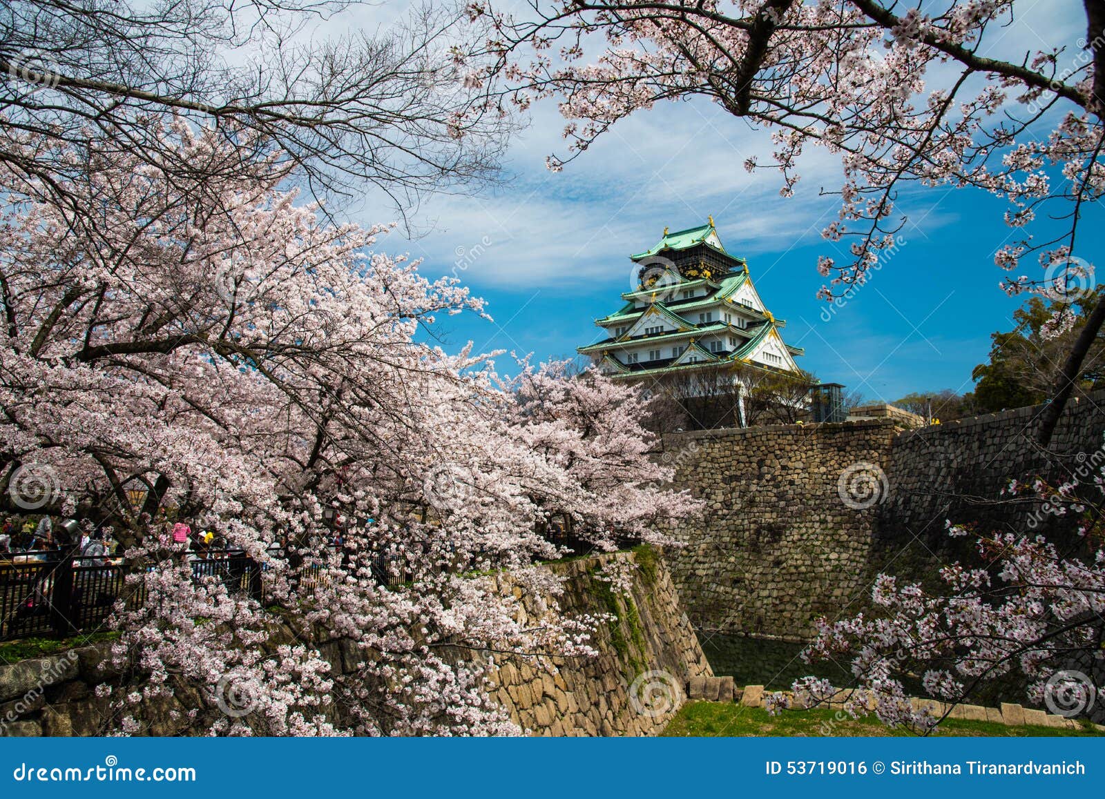 Osaka castle stock photo. Image of capital, sakura, springtime - 53719016