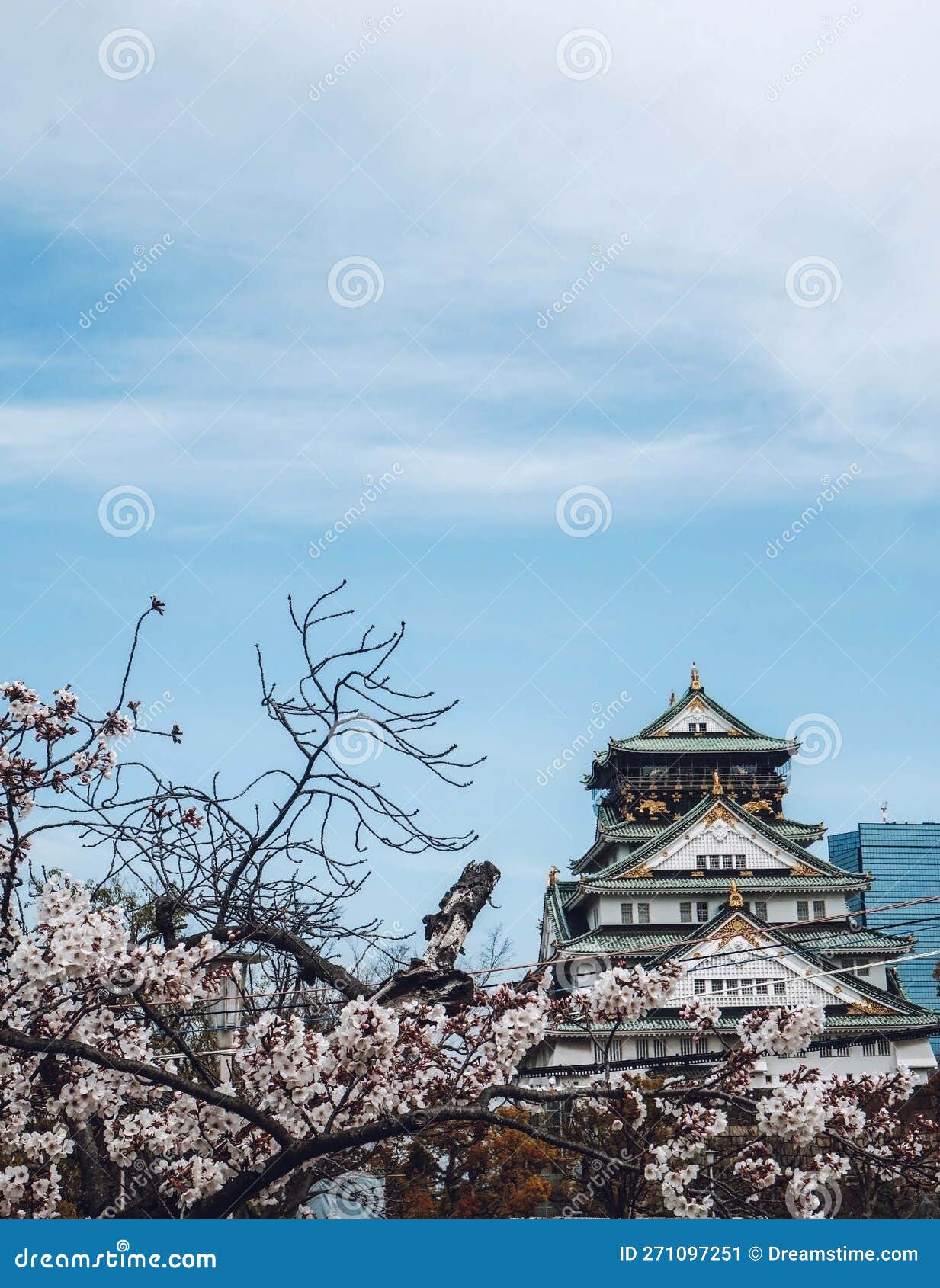 Osaka Castle in Spring with Cherry Blossom Starting To Bloom Editorial ...