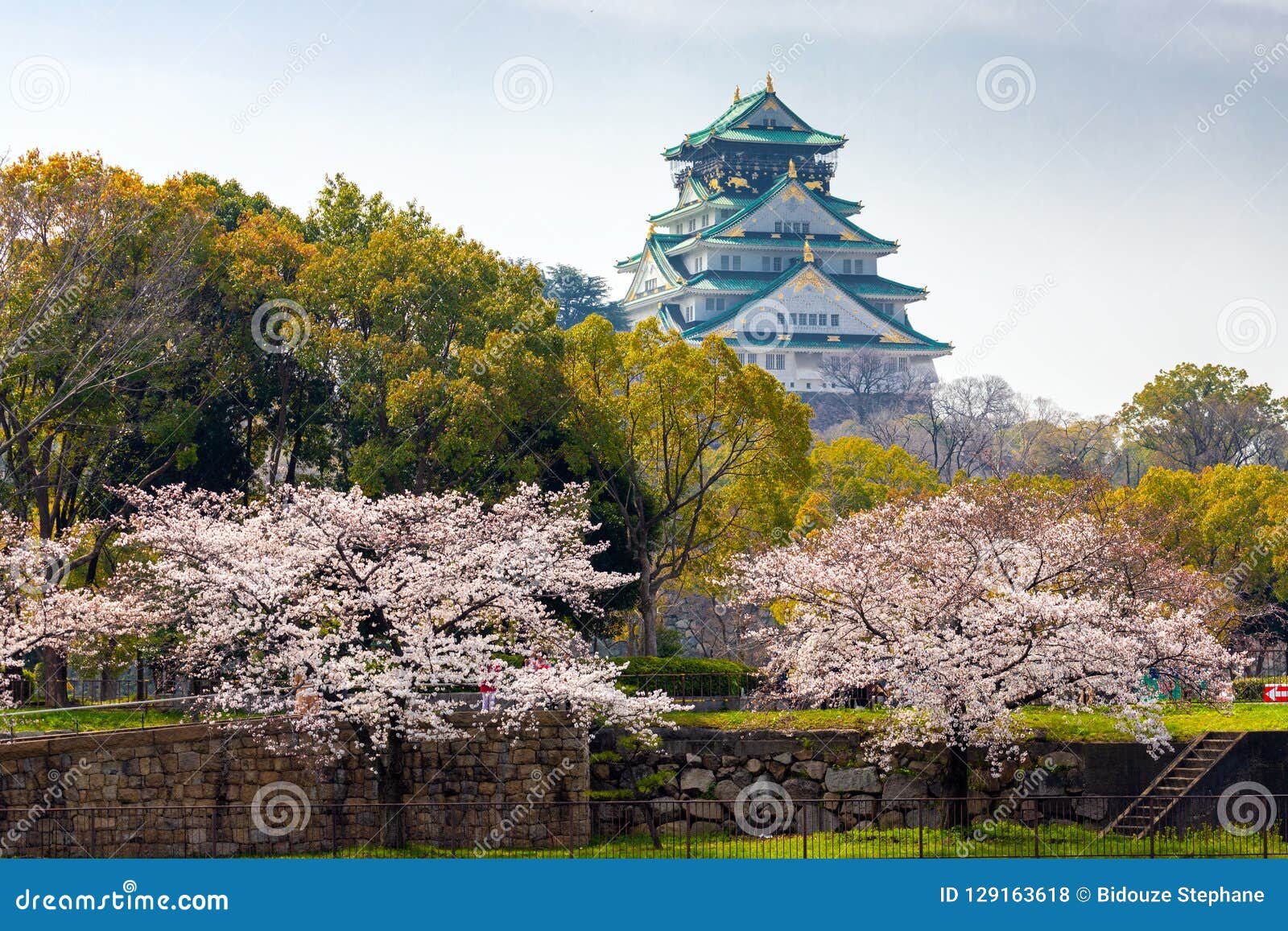 The Osaka castle at spring stock photo. Image of japan - 129163618