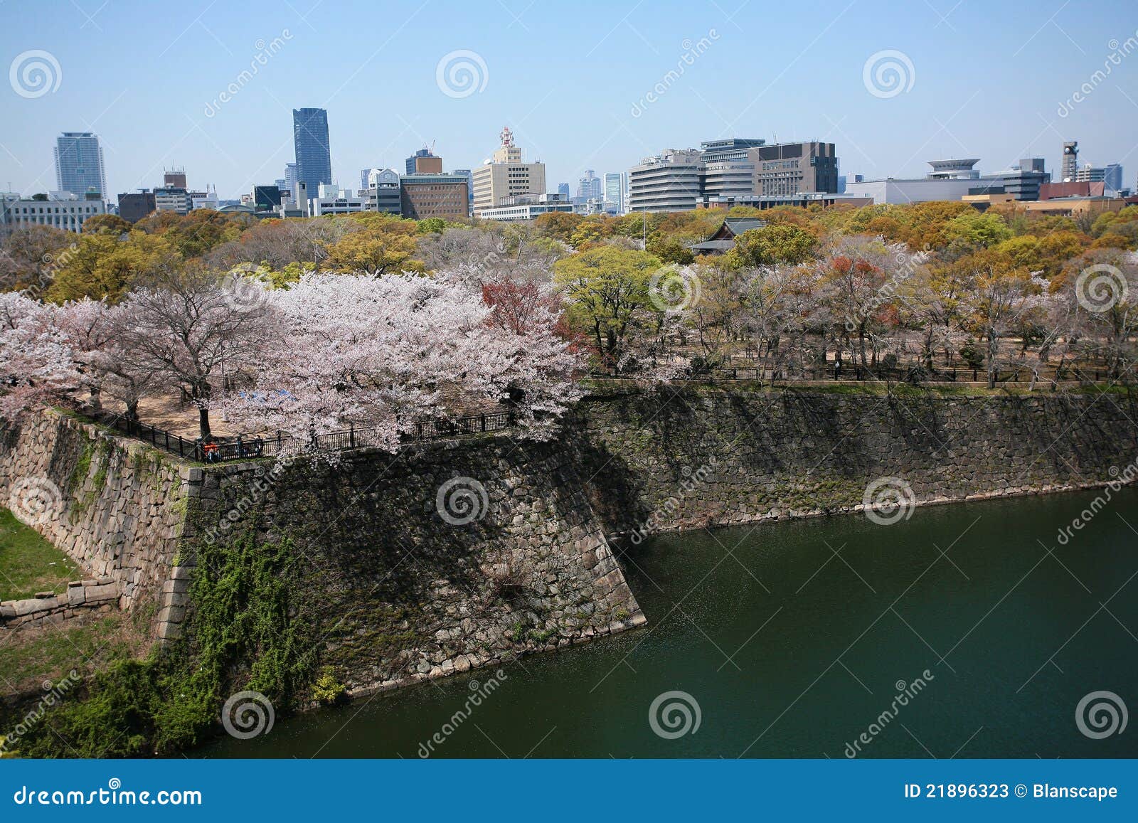 Osaka Cityscape with Beautiful Sakura Blossom Stock Image - Image of ...