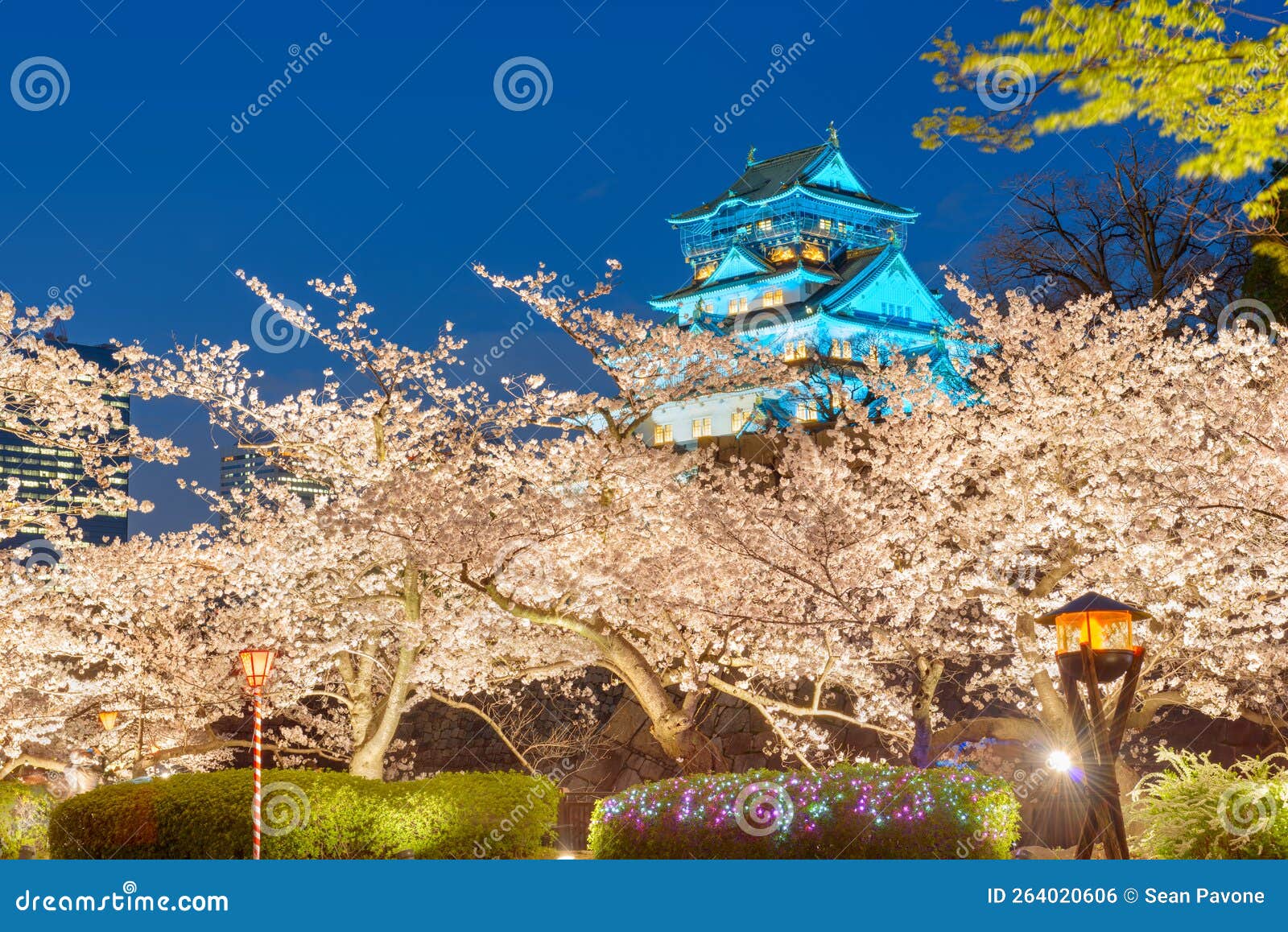 Osaka, Japan at Osaka Castle during Spring Season Stock Photo - Image ...