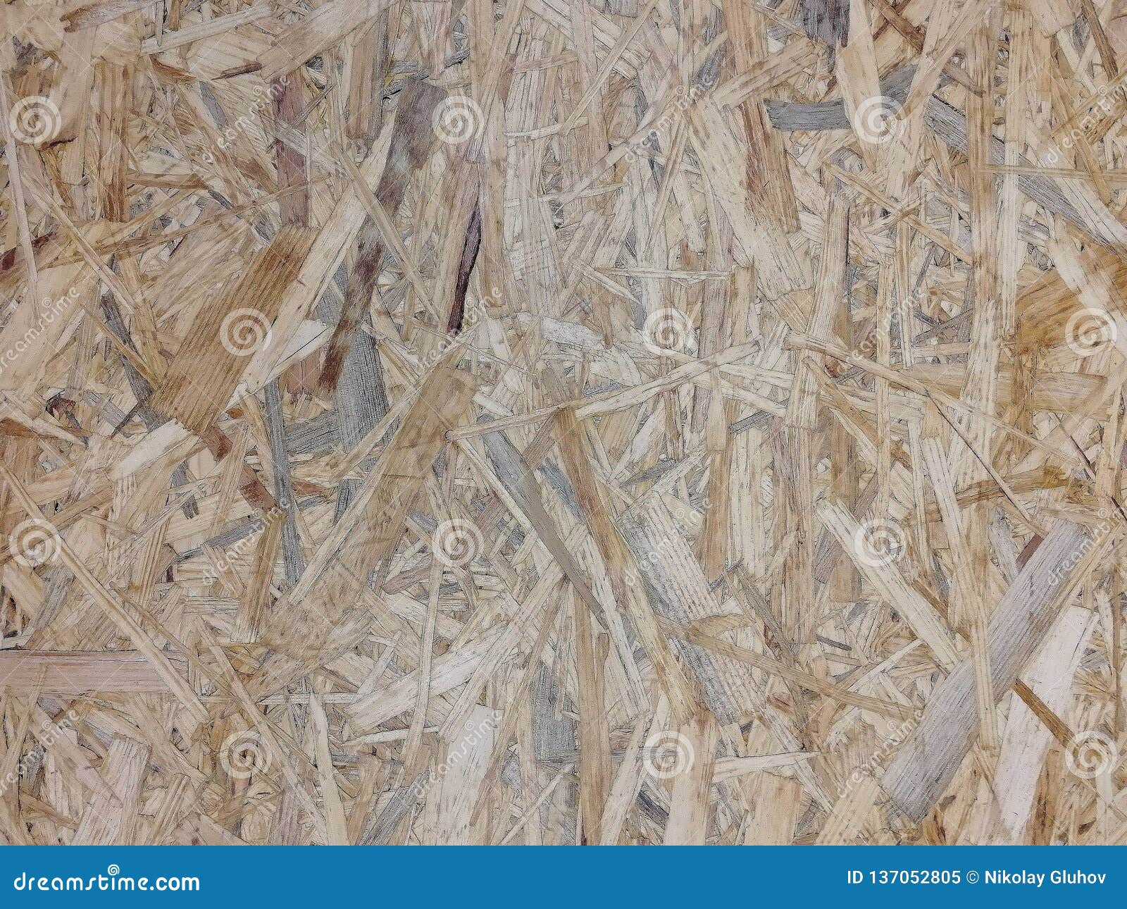 OSB panel texture stock image. Image of texture, panel - 137052805