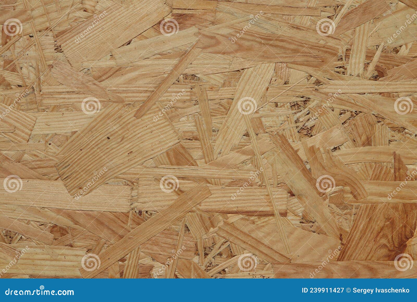 OSB texture. stock image. Image of hardwood, wooden - 239911427