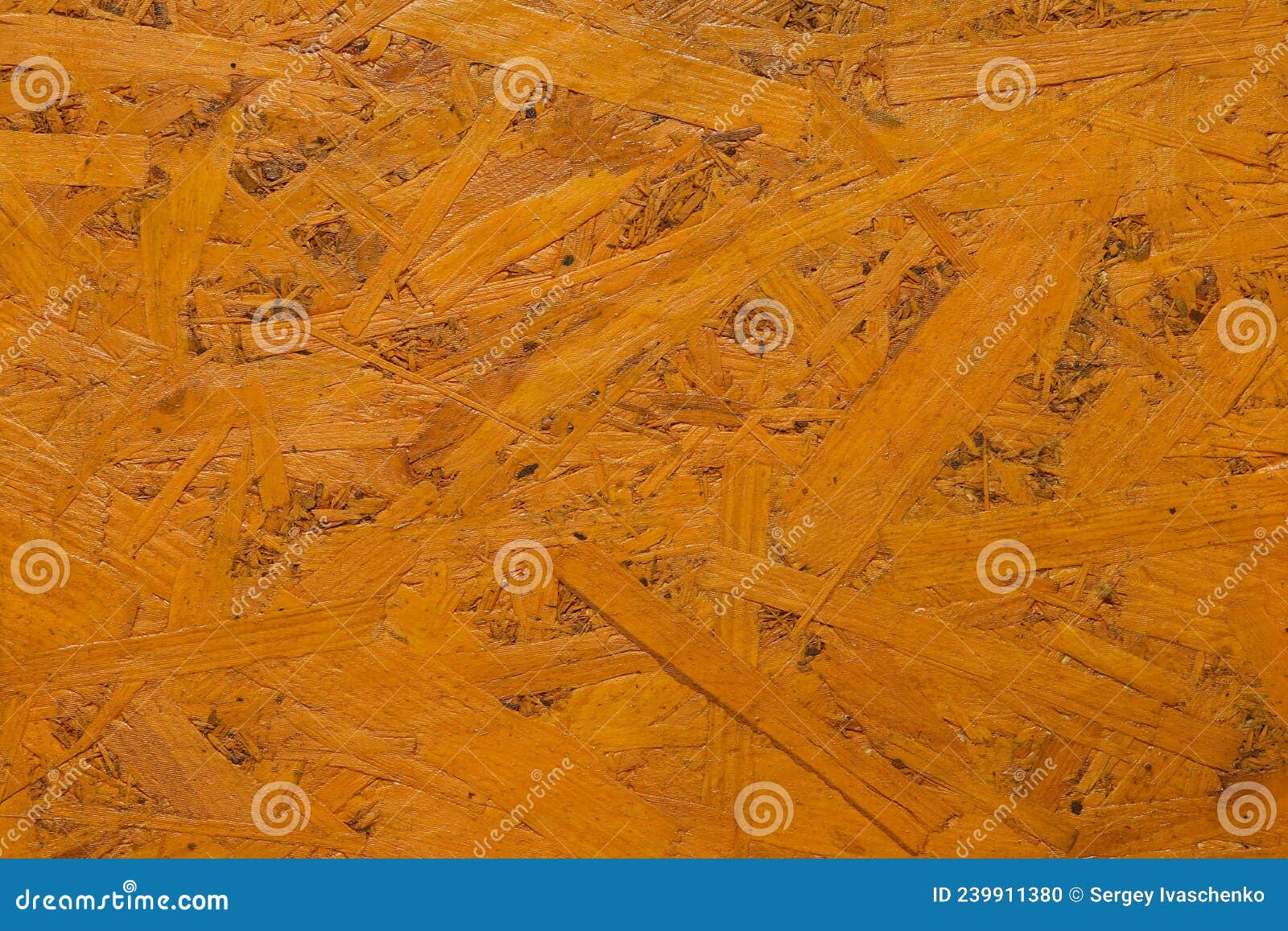 OSB texture. stock photo. Image of natural, material - 239911380