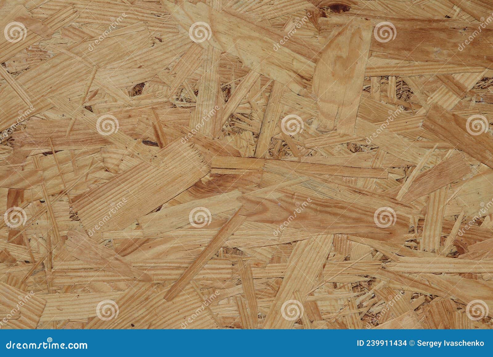 OSB texture. stock photo. Image of material, floor, tree - 239911434