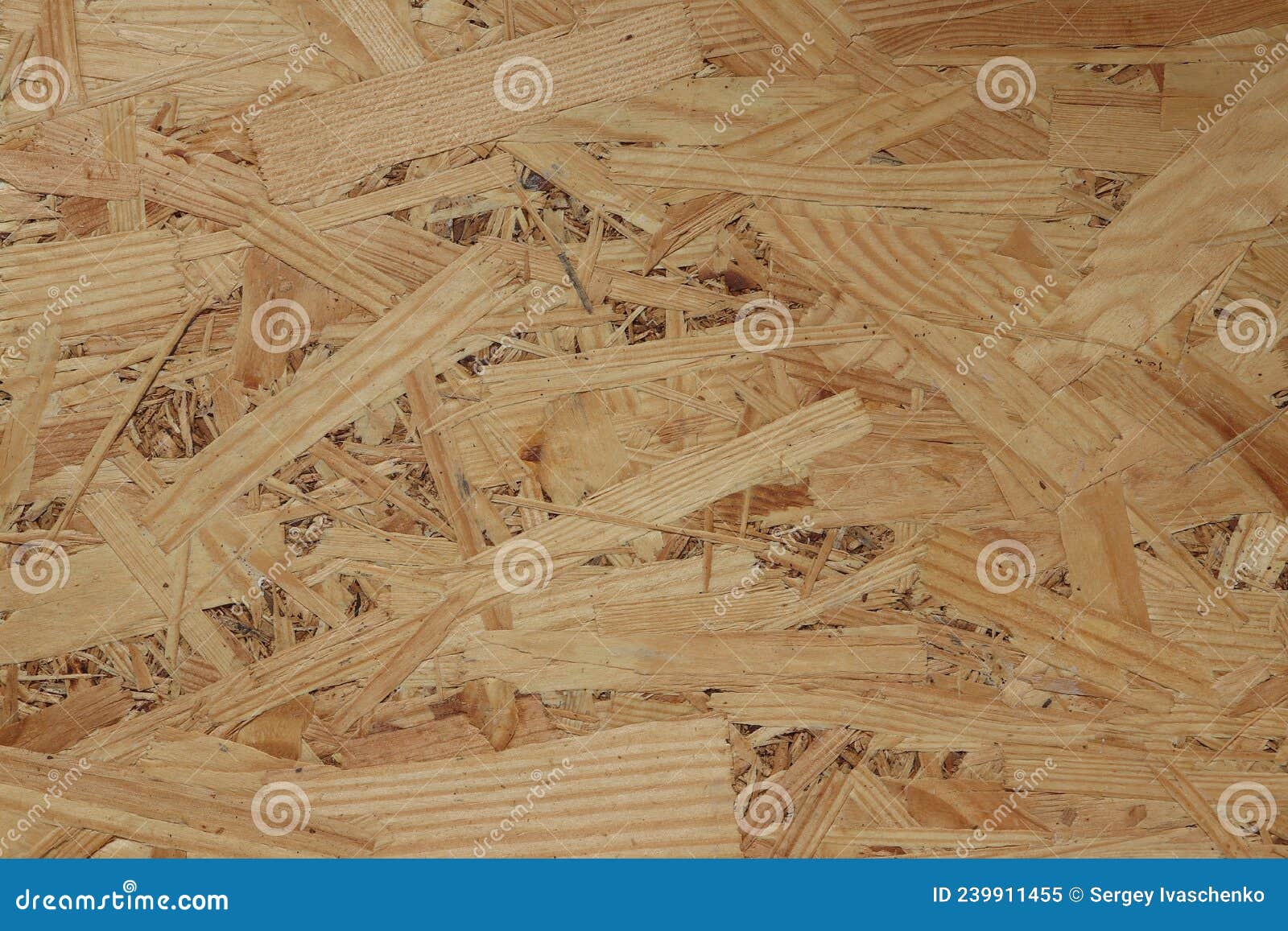 OSB texture. stock image. Image of walnut, painted, grain - 239911455