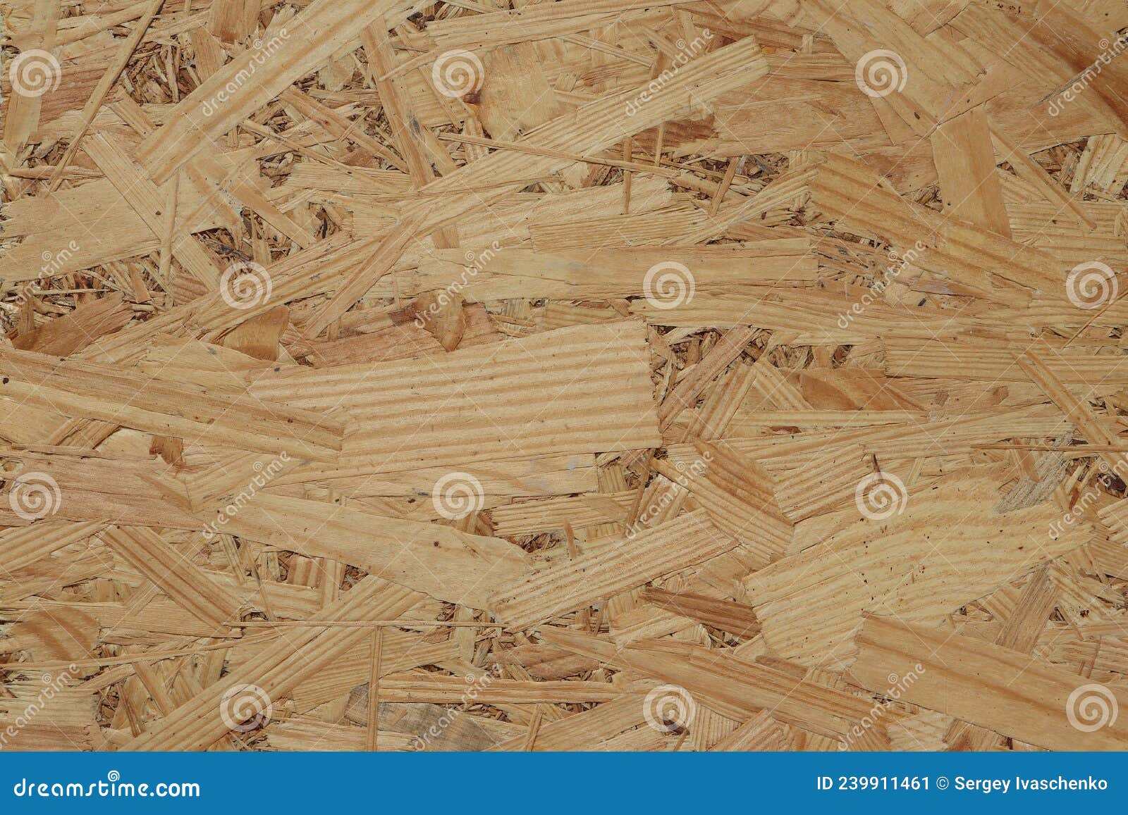 OSB texture. stock image. Image of hardwood, wooden - 239911461