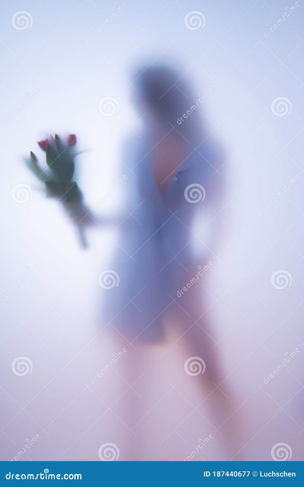 Oskarp Silhouette-flicka Med Blommor Bakom Glas Fotografering för ...