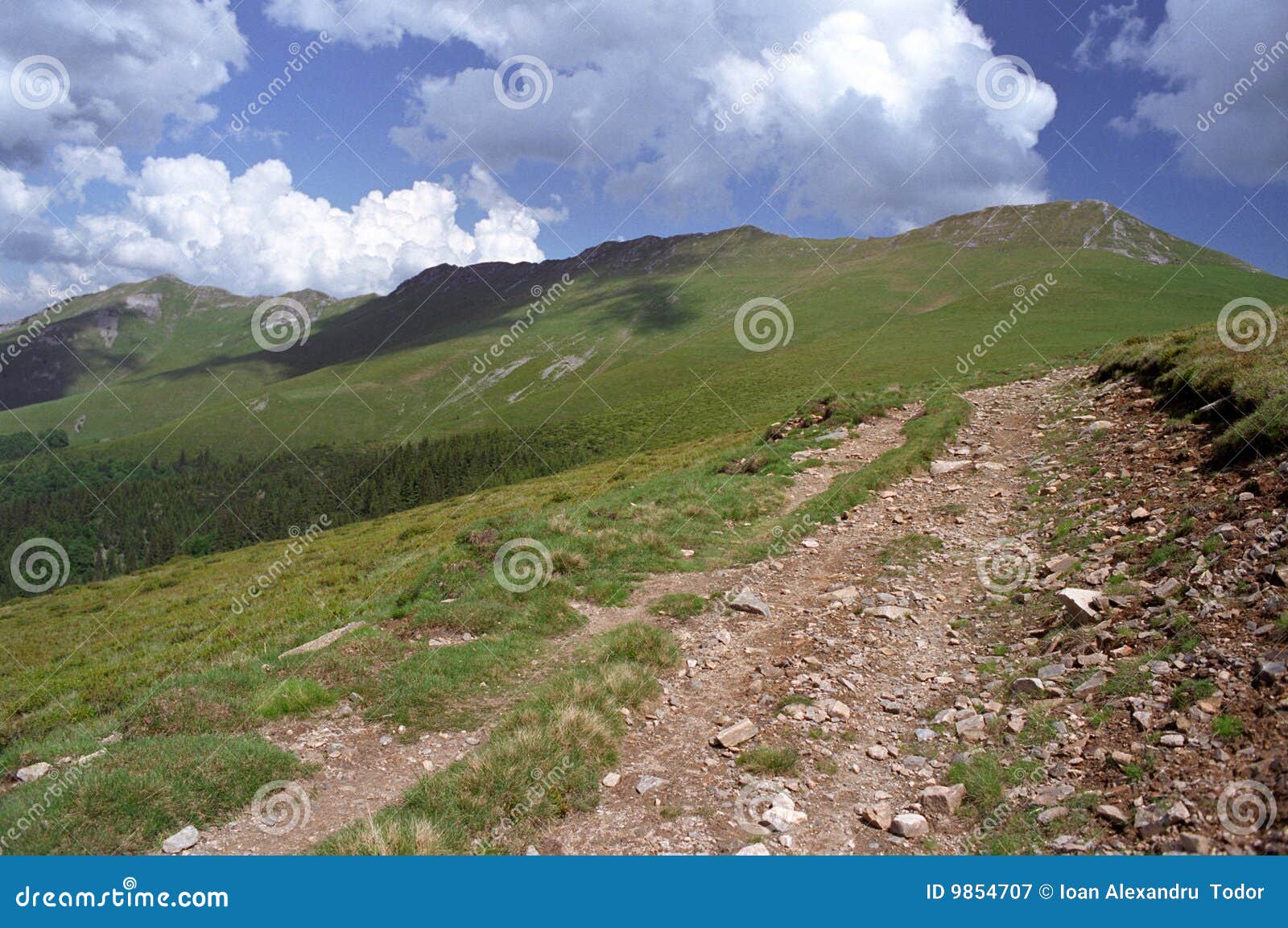 Oslea Mountain ridge stock image. Image of meadow, grass - 9854707