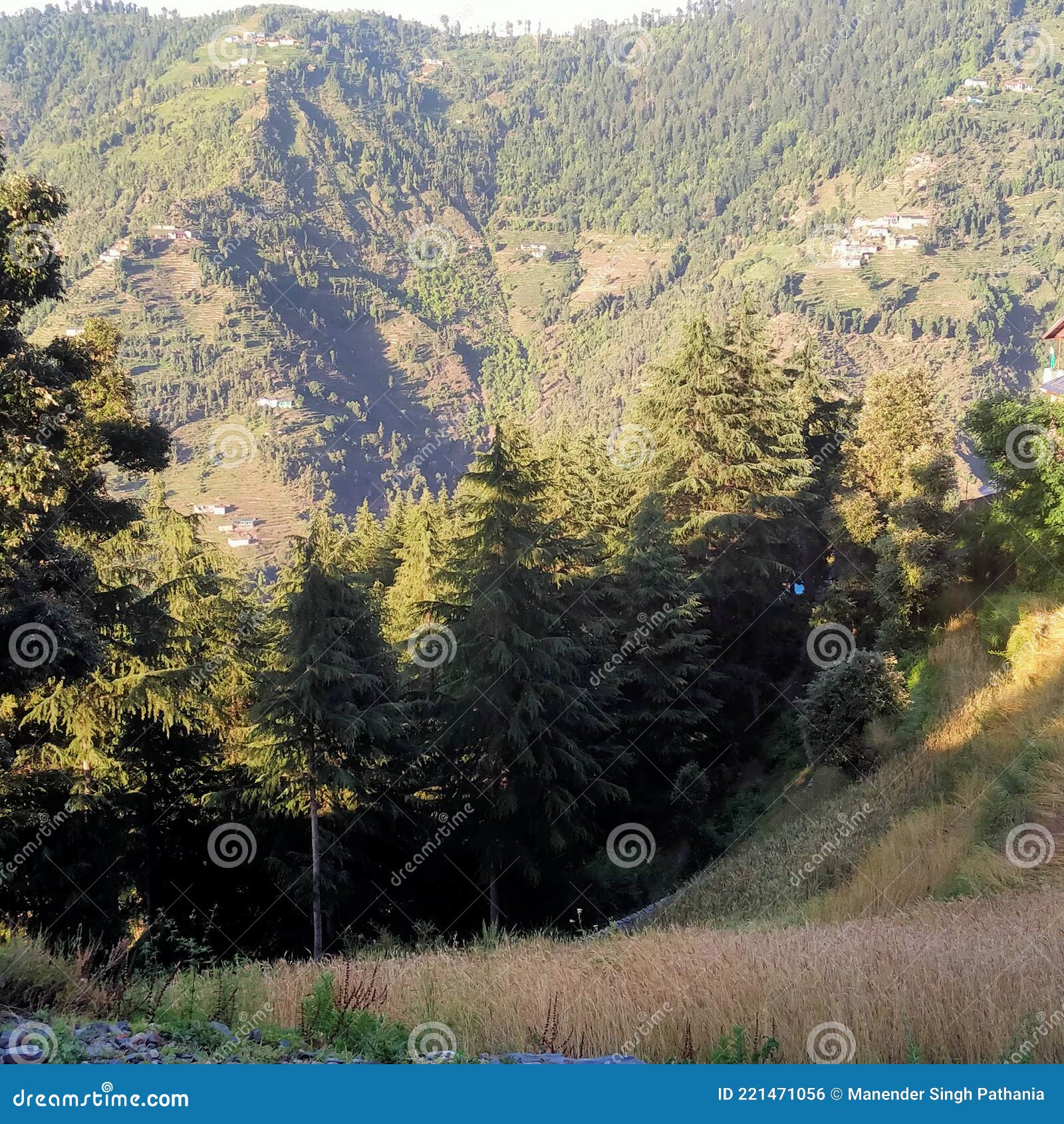 Osm View Of Trees And Mountains Royalty-Free Stock Image ...