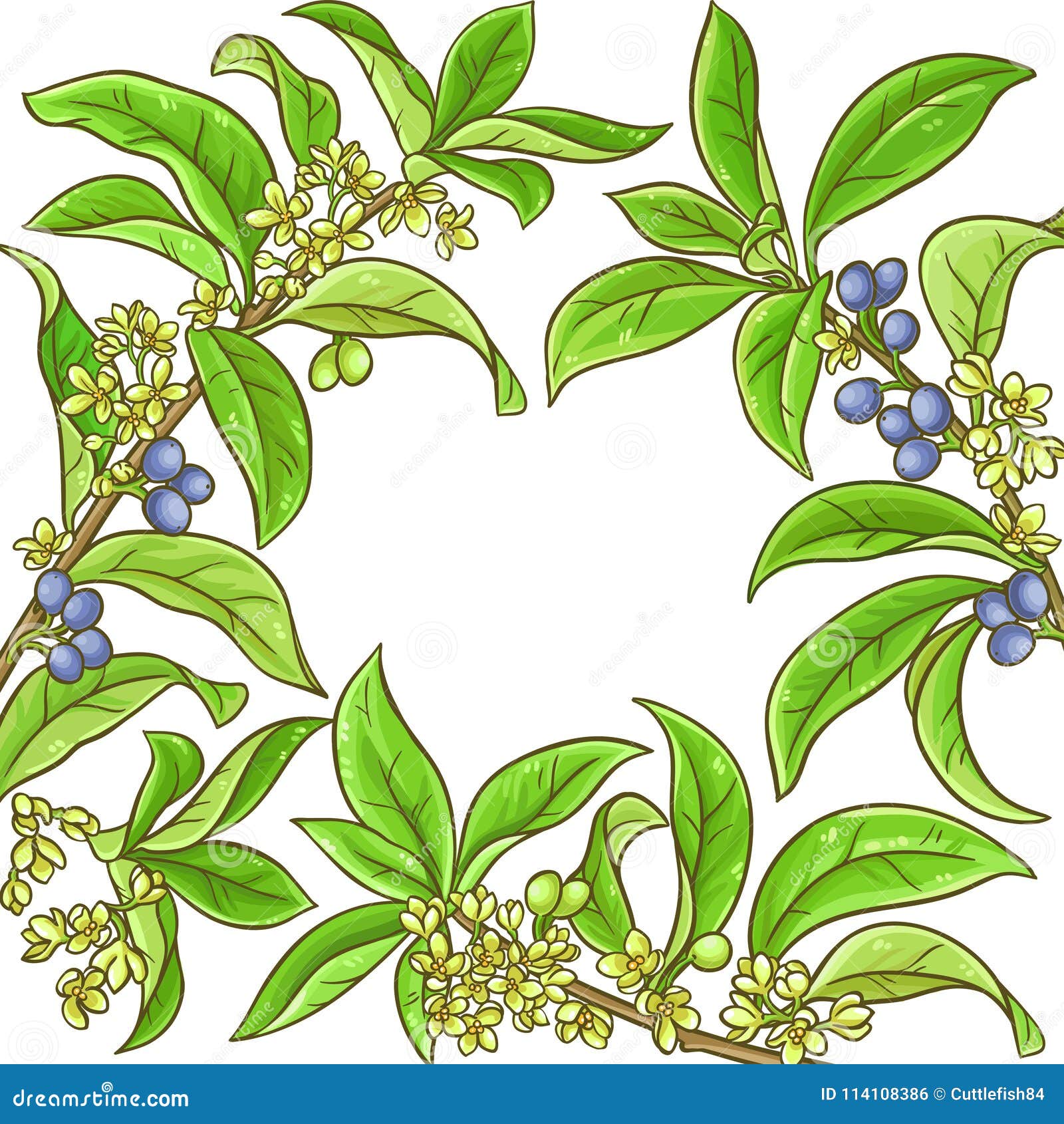 Osmanthus Vector Frame | CartoonDealer.com #106527729